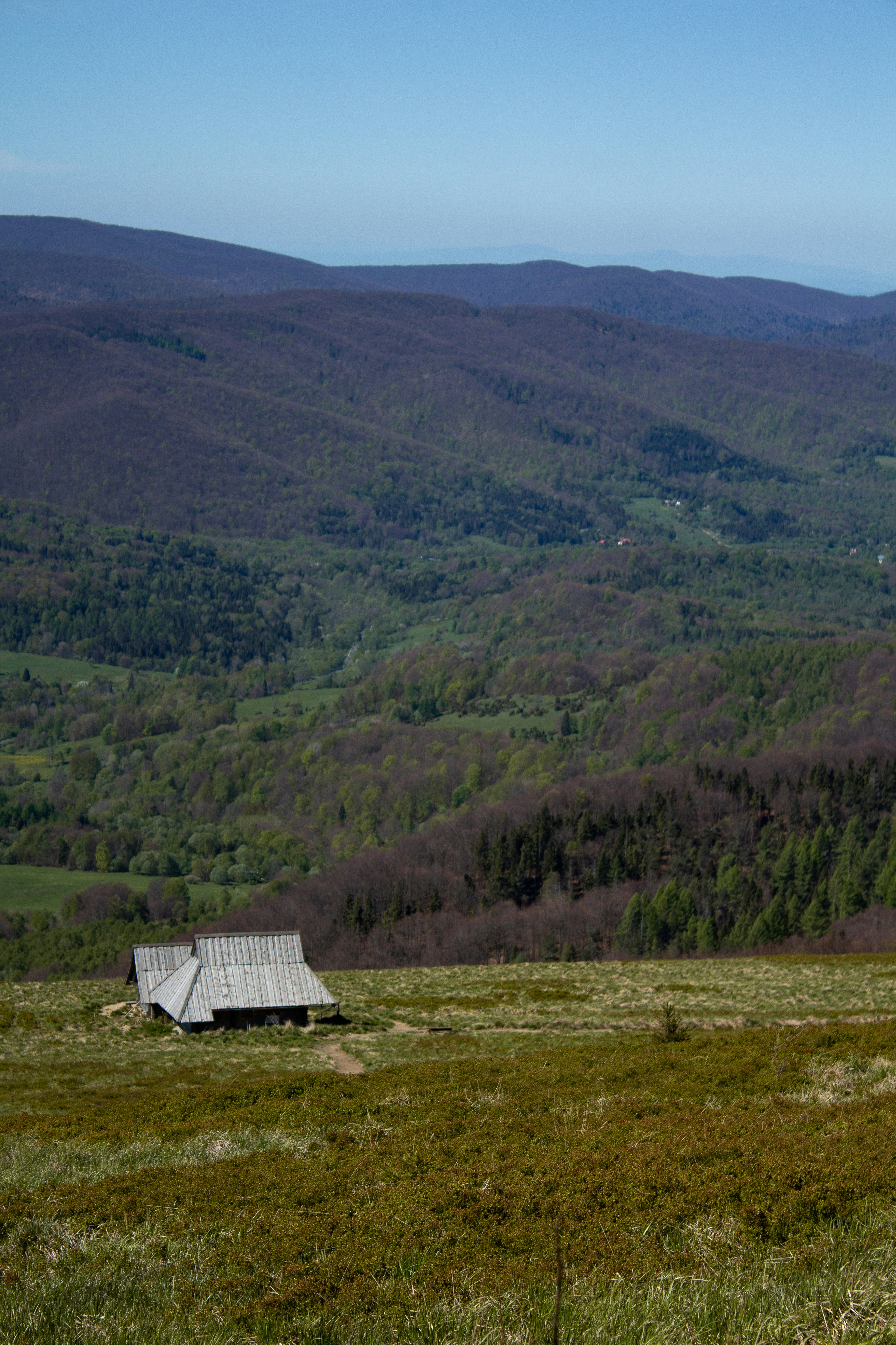 Lone Cabin on a Gentle Hillside Over a Layered Forest Valley