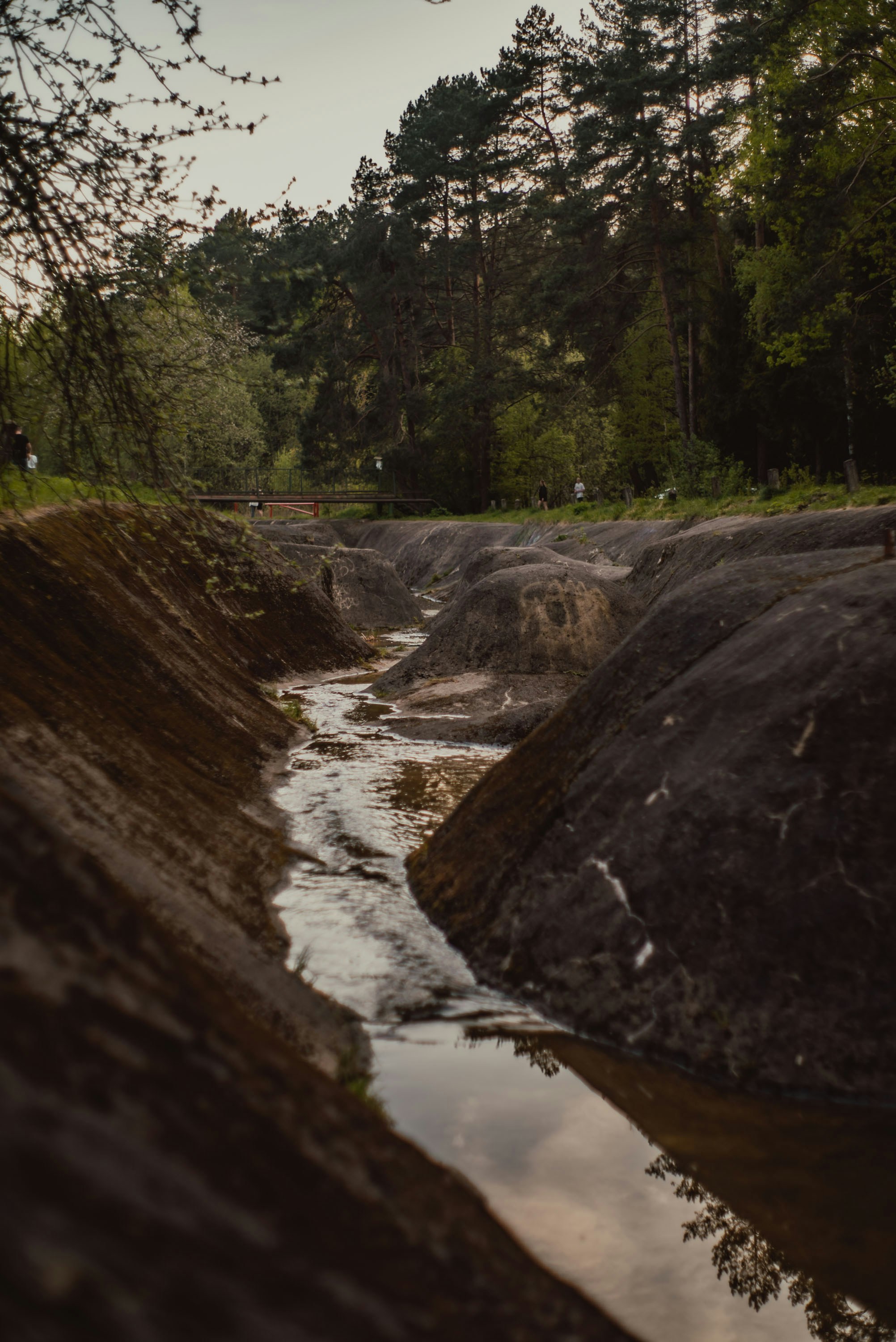 Between Granite Walls: Quiet Channel with Pine Reflections