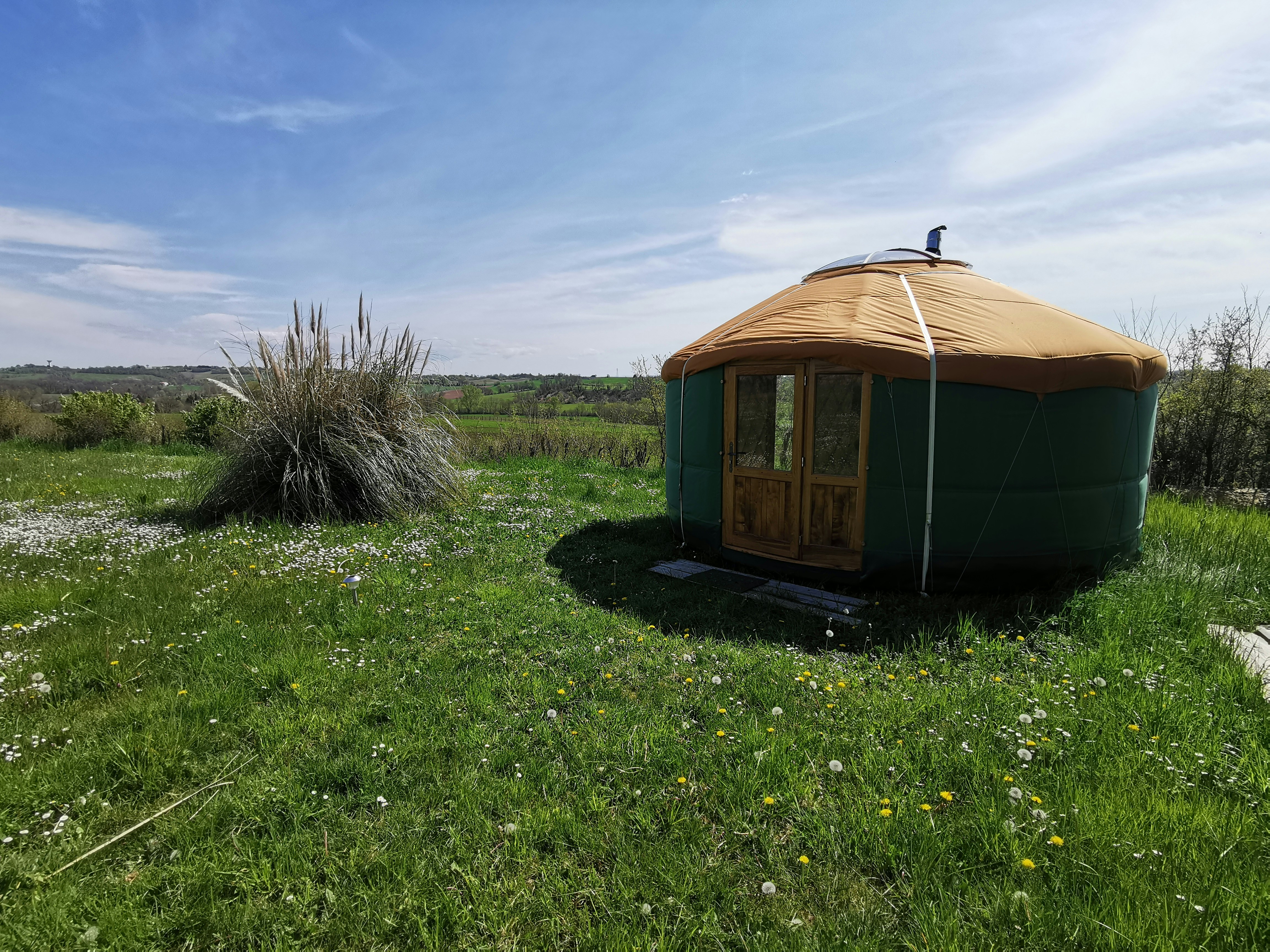 Yurt nestled in a grassy meadow with a bird perched on top, under a clear blue sky.