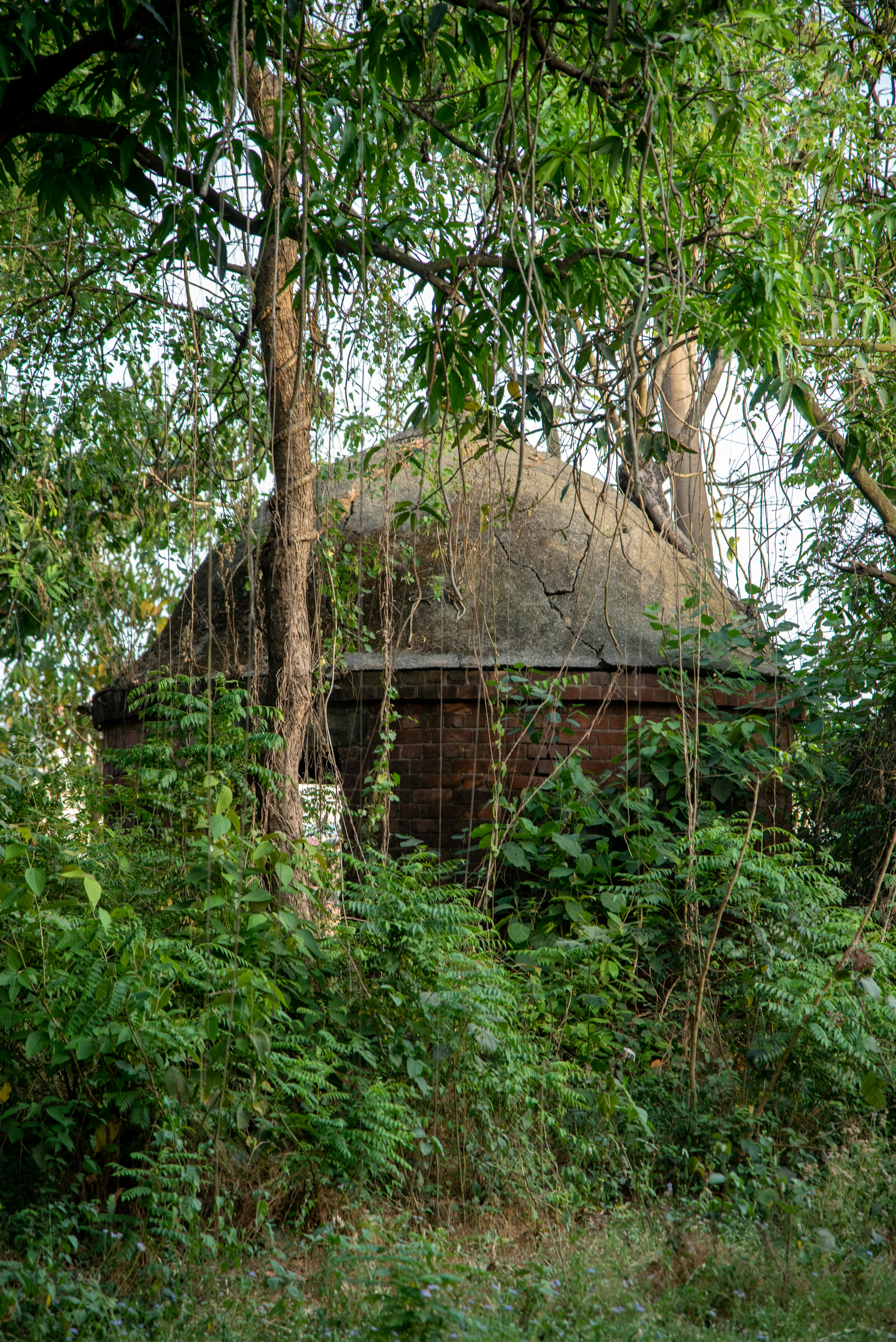 A small hut in the middle of a forest photo – Free Animal Image on Unsplash