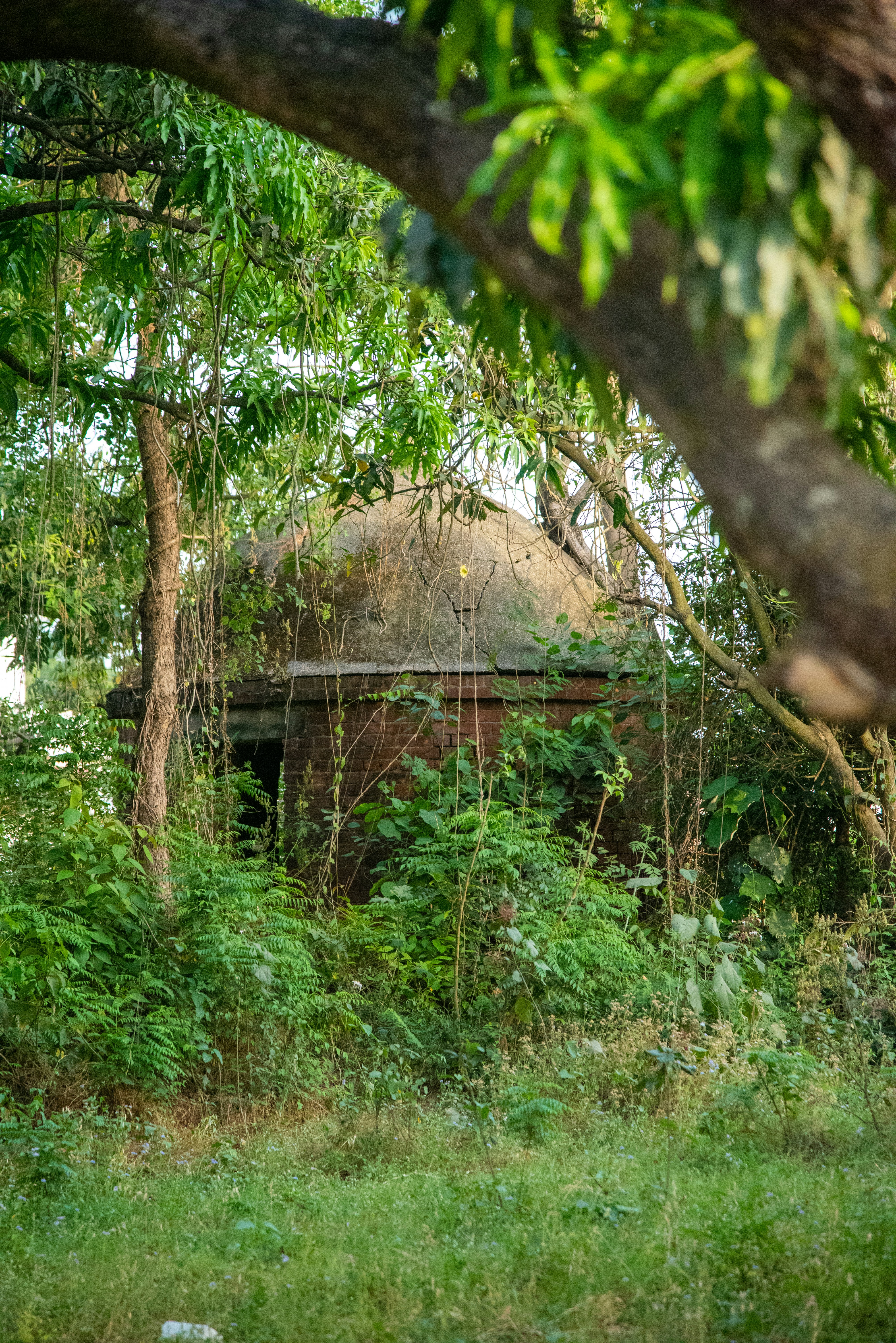 Photo by Devang Punia with Nikon D750