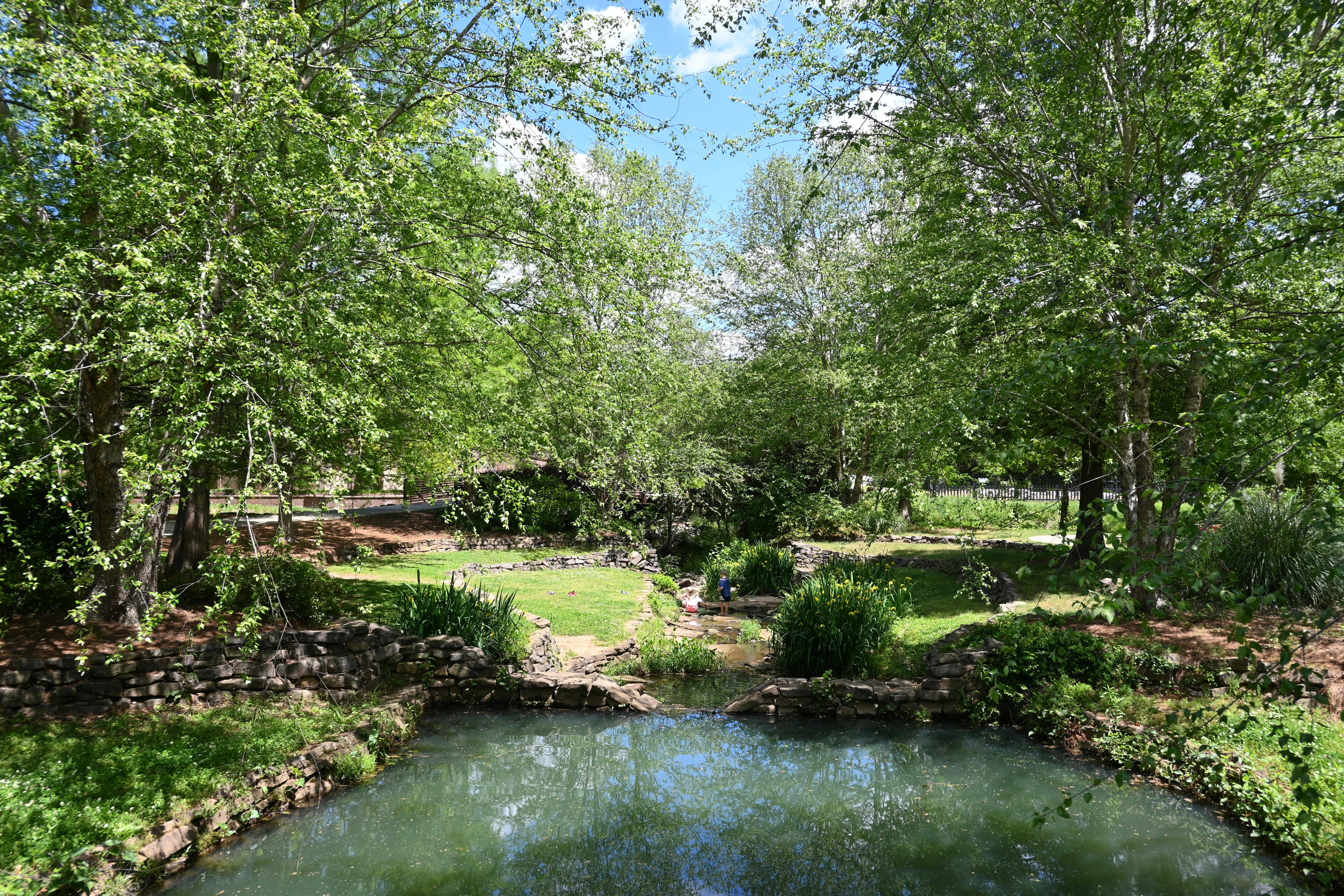 Tranquil pond surrounded by verdant trees and bushes under a clear blue sky.