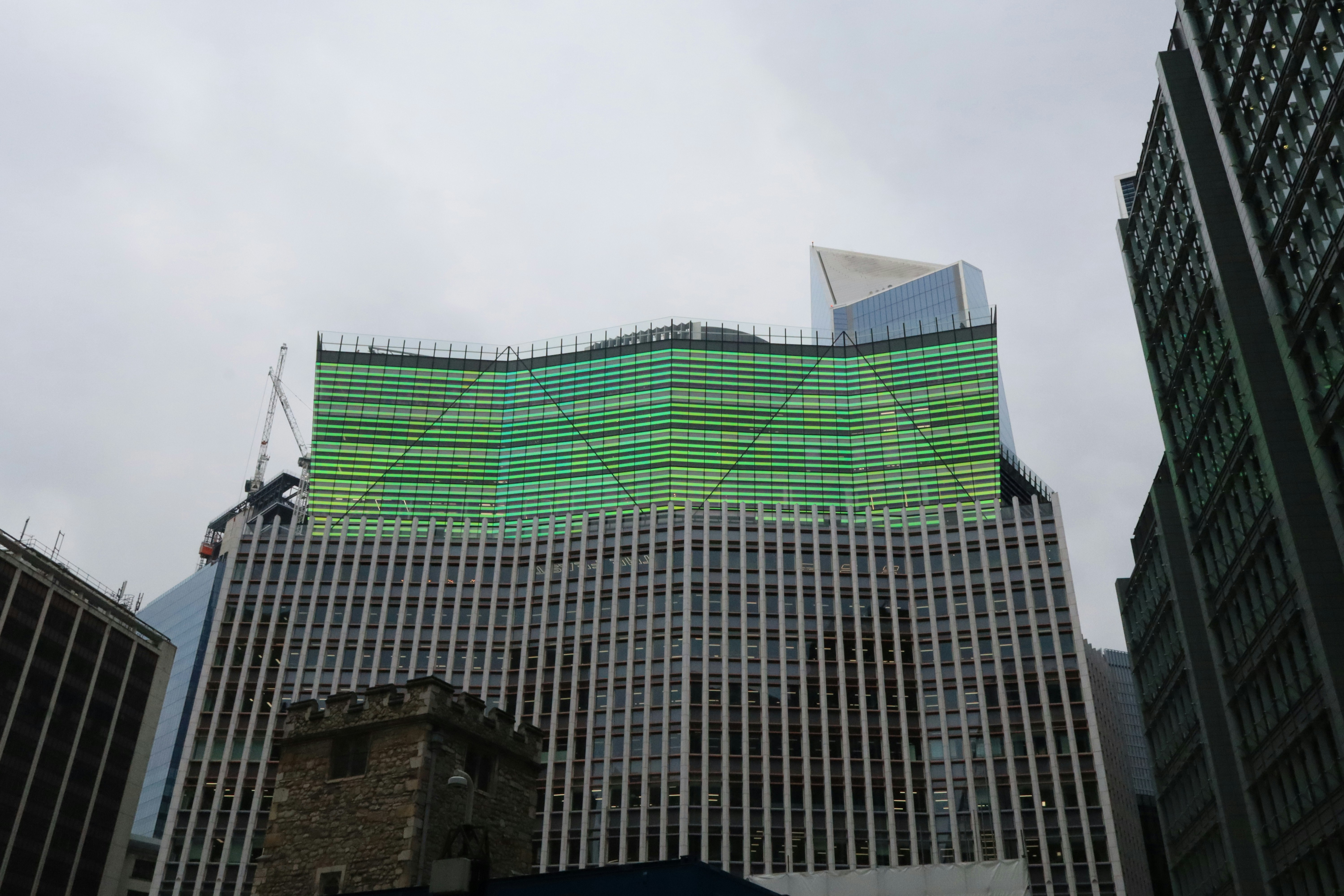 Emerald Crown Over the Gridline Skyline