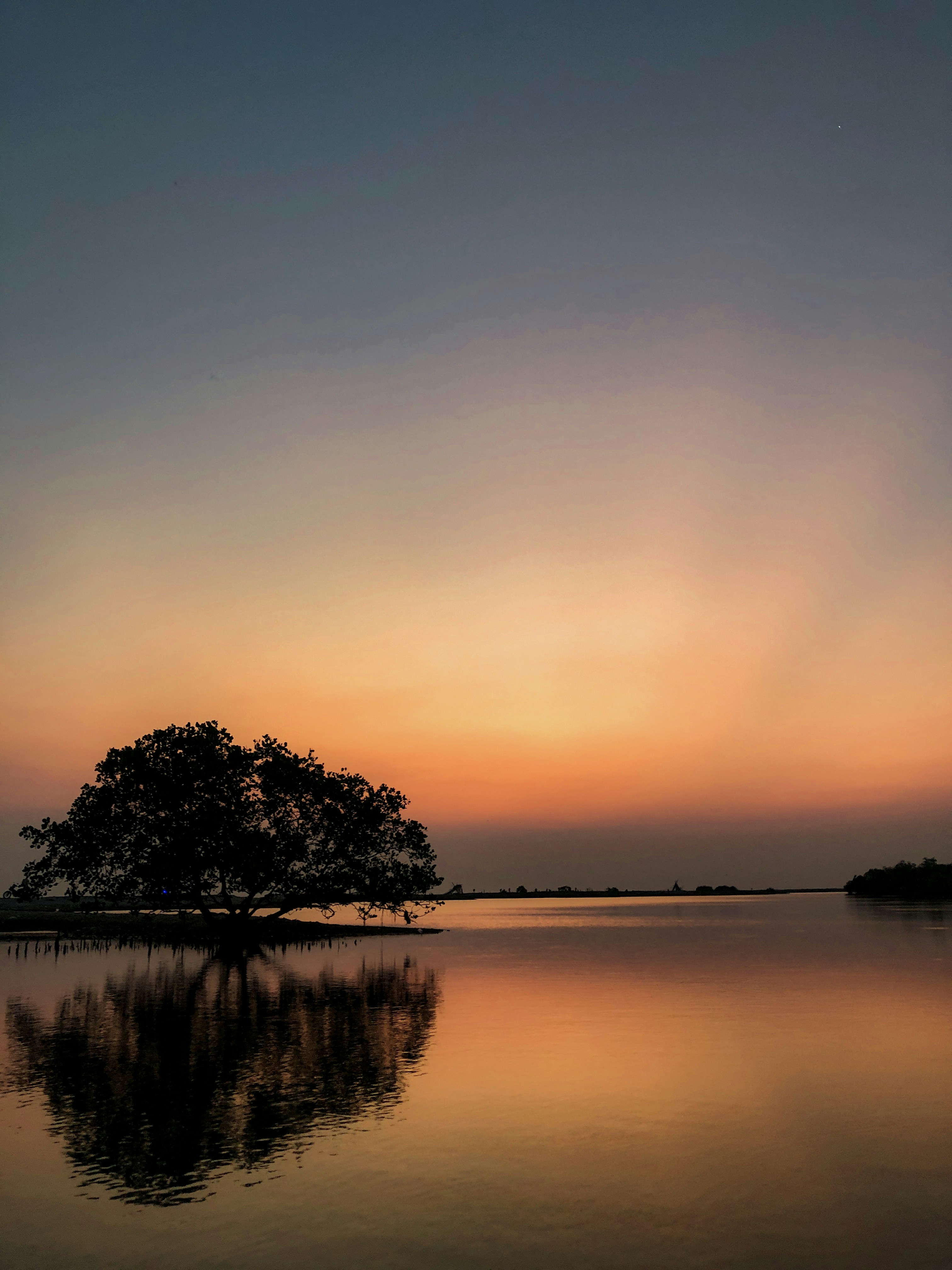 Dusk Silhouette over Velvet Water: Lone Tree and Its Reflected Echo