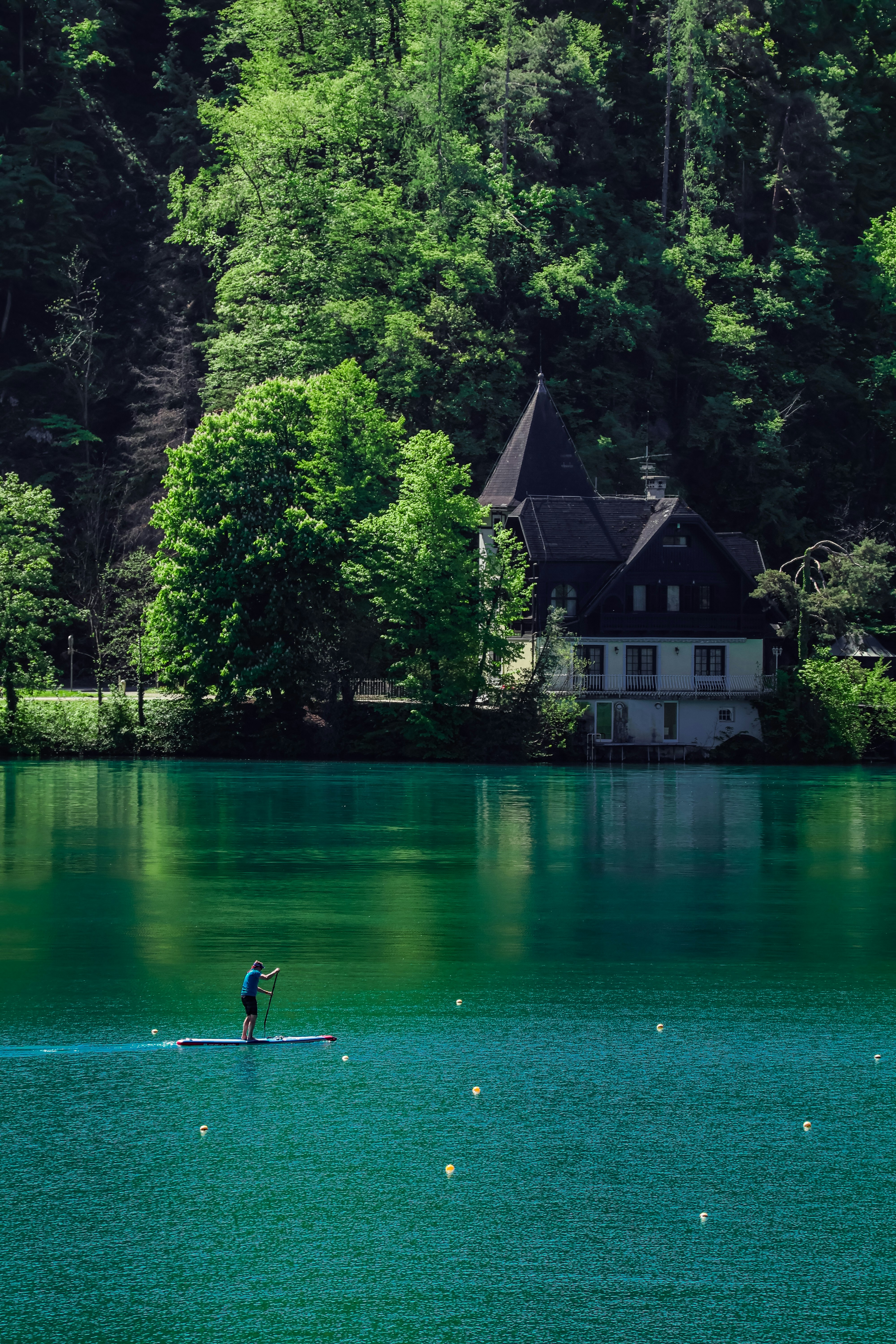 A paddleboarder glides across a tranquil lake, framed by vibrant trees and a charming house in the background. The scene embodies a peaceful connection with nature.