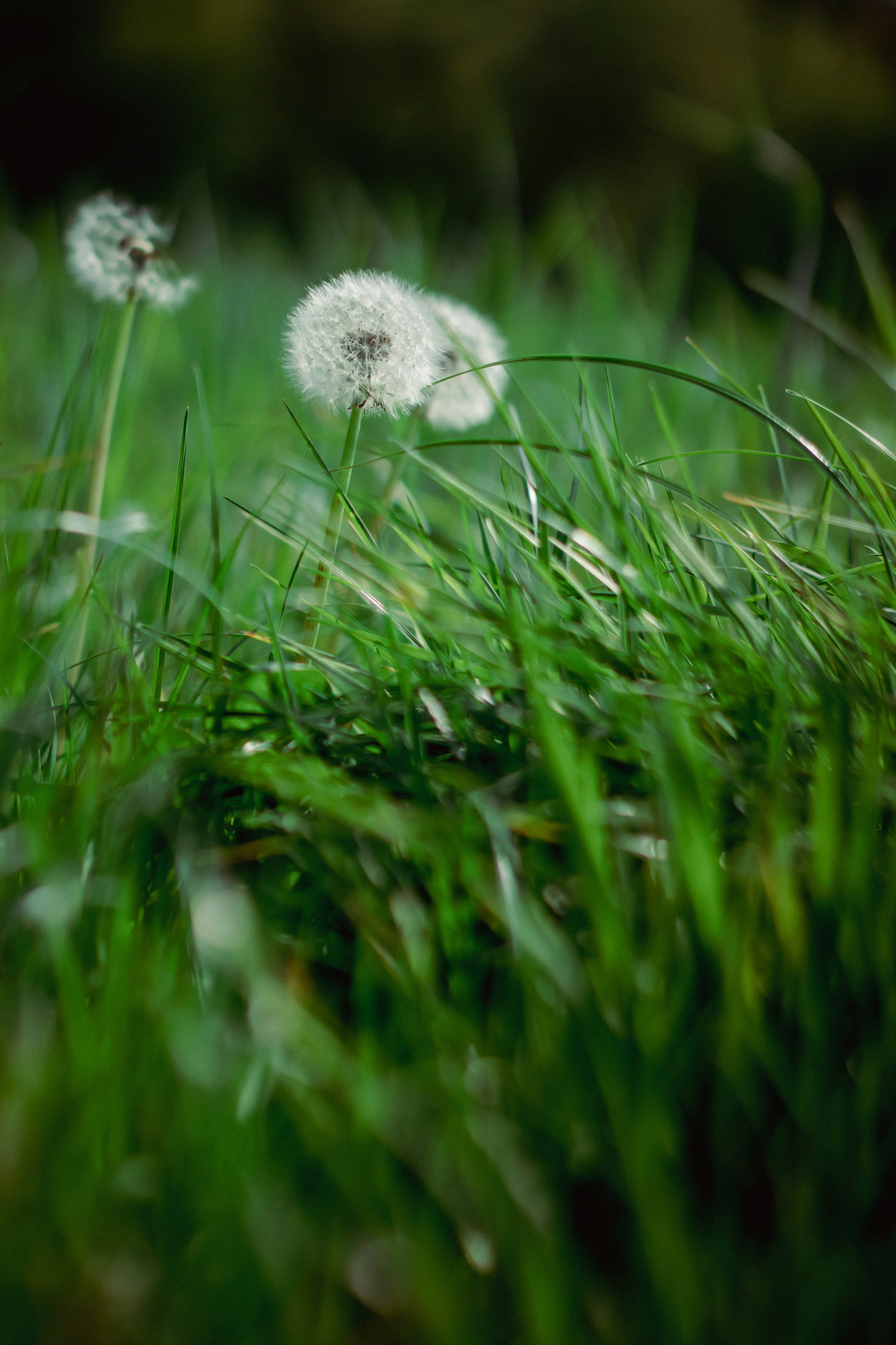 Photo by Vlodos Rozhkov with Canon EOS 80D