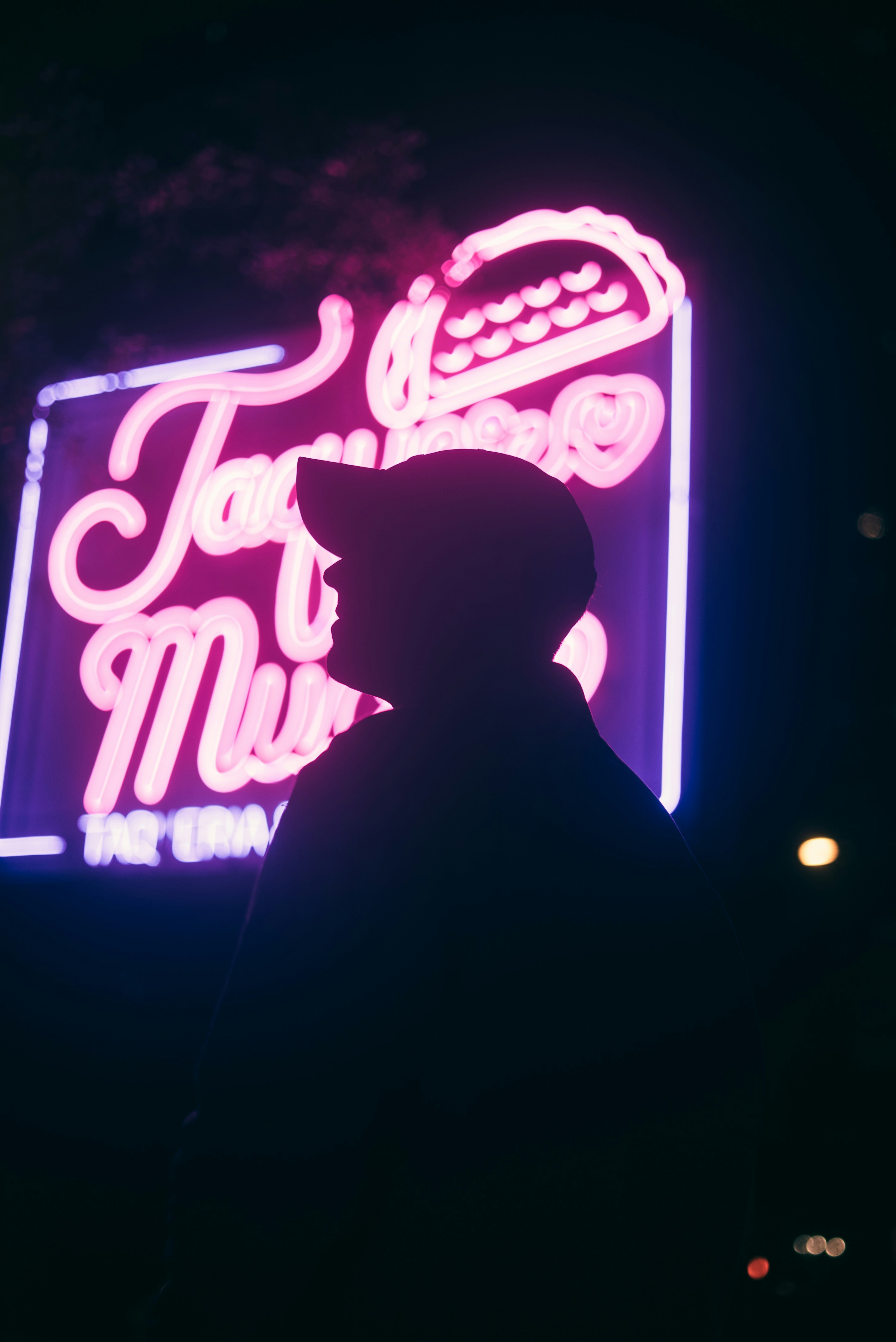 Neon silhouette: a cat gazes at a pink sign