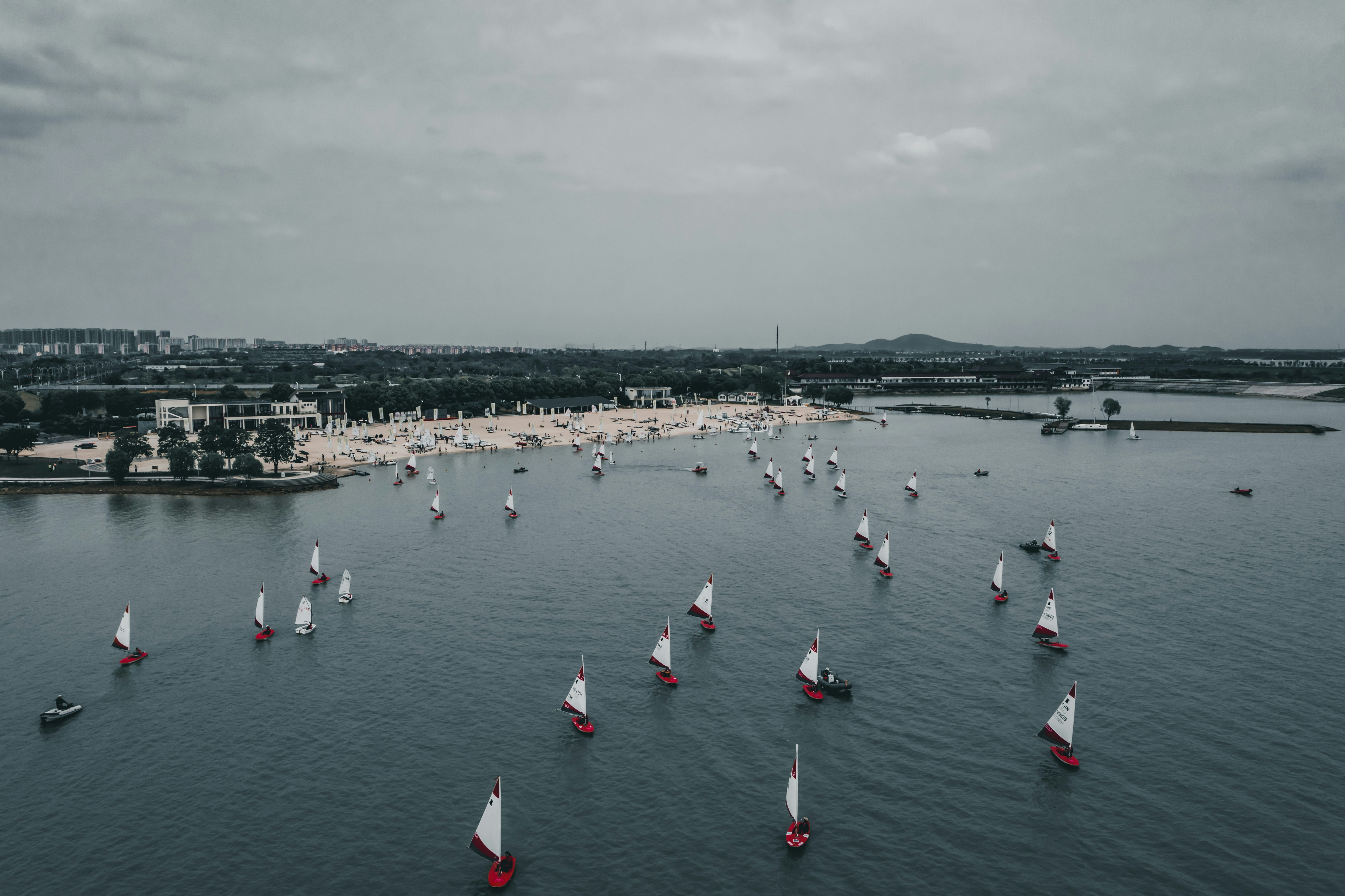 Regatta Ribbon: Aerial View of Red-Sailed Boats on a Quiet Bay