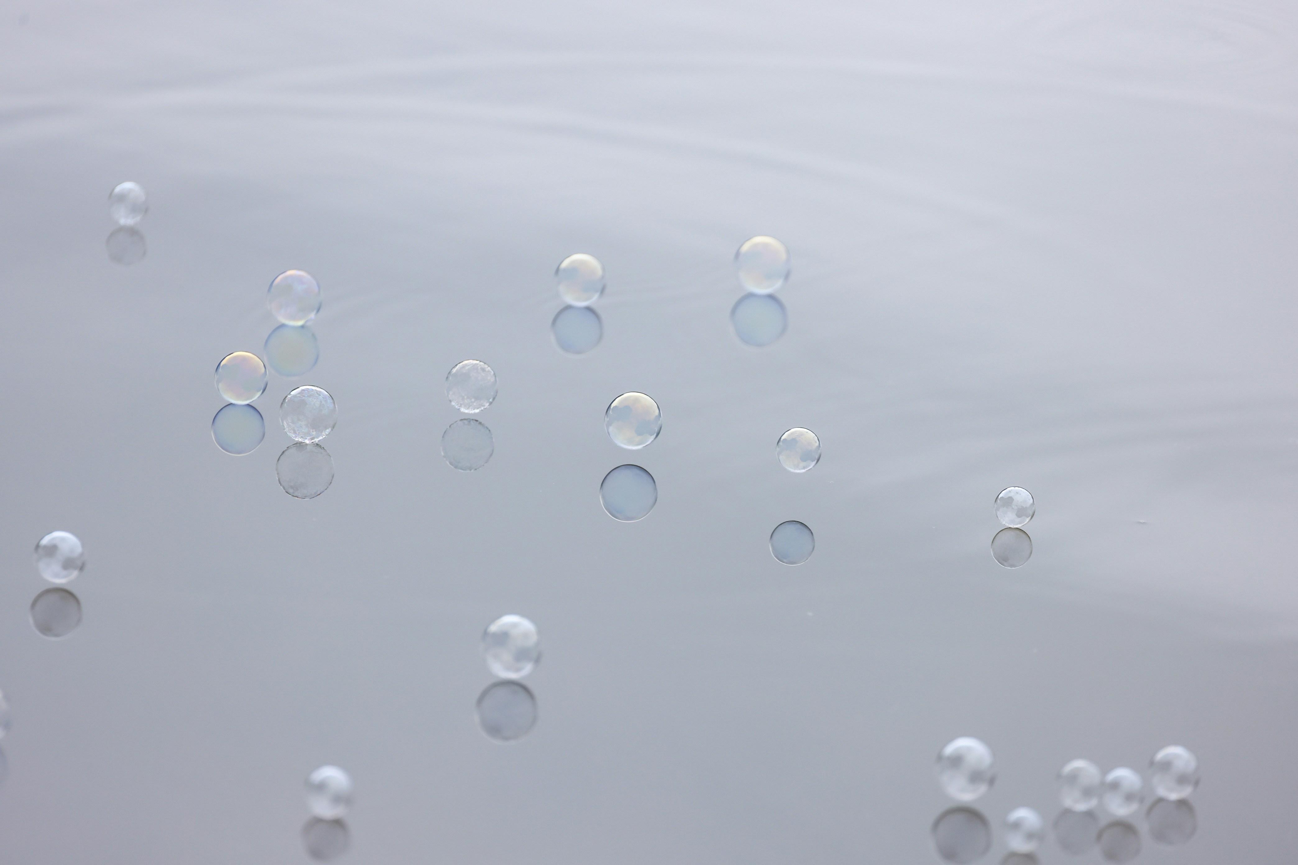 A group of bubbles floating on top of a body of water photo – Free Grey ...