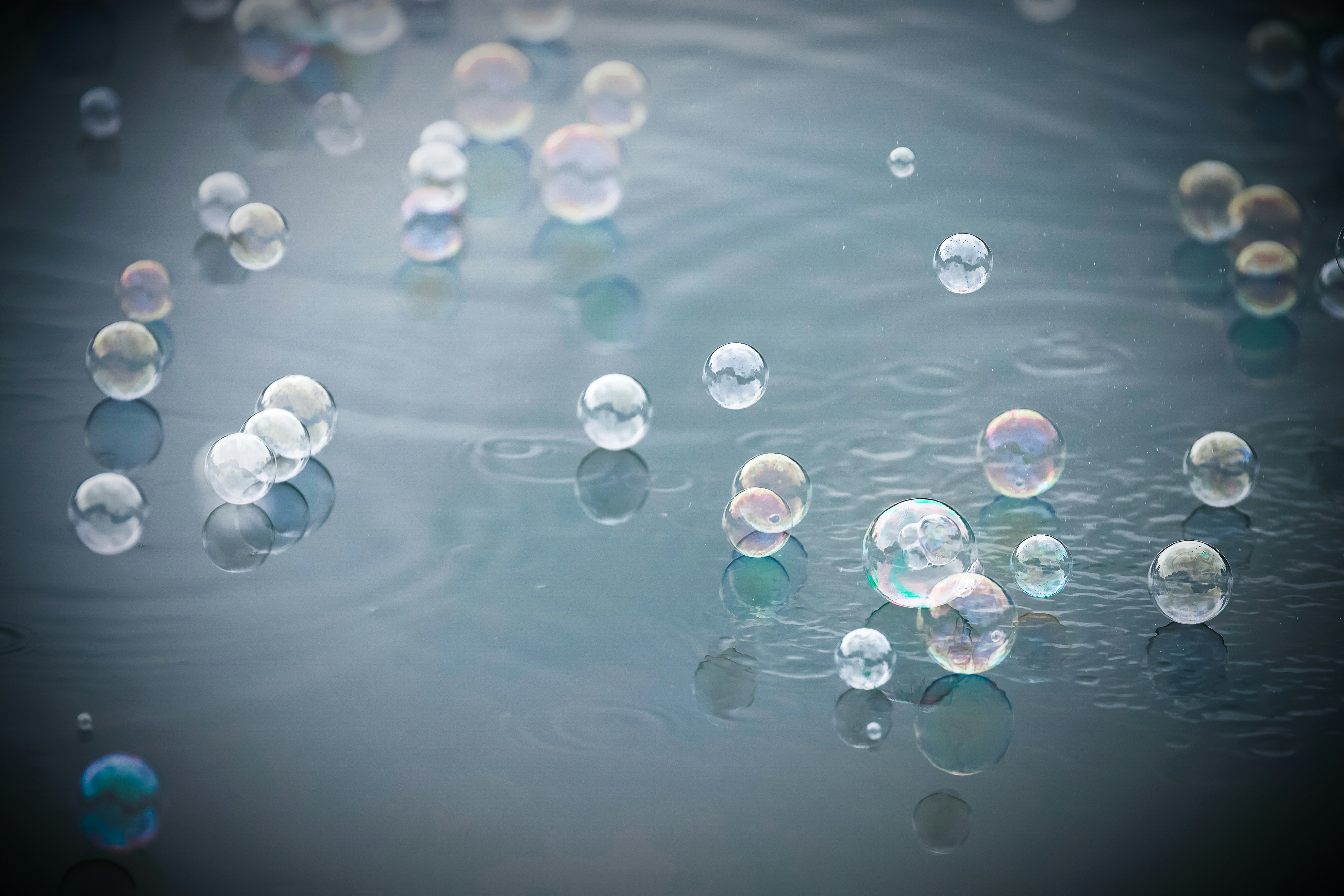 A group of bubbles floating on top of a body of water photo – Free ...
