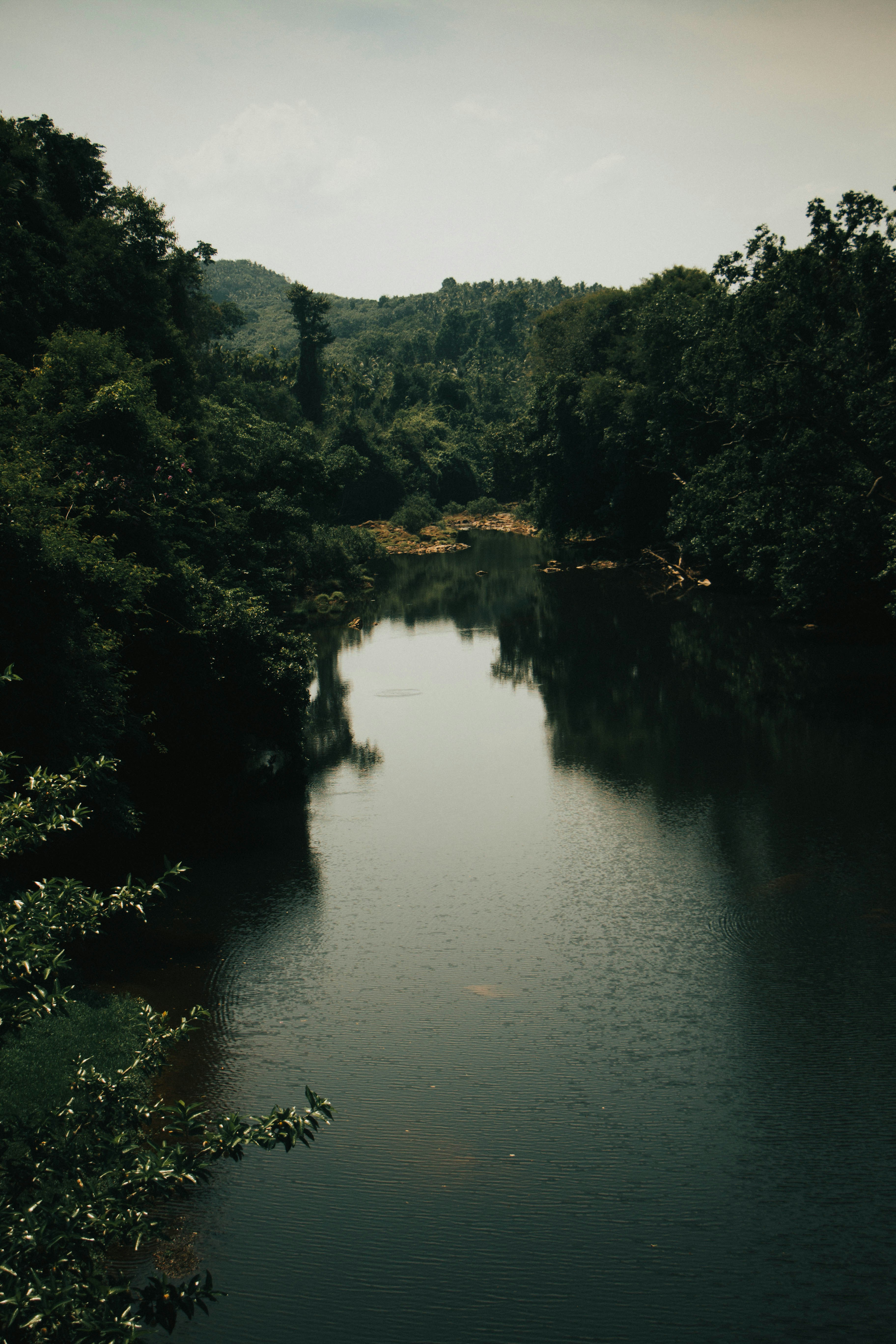 Photo by Rishabh Mathew with Canon EOS 70D