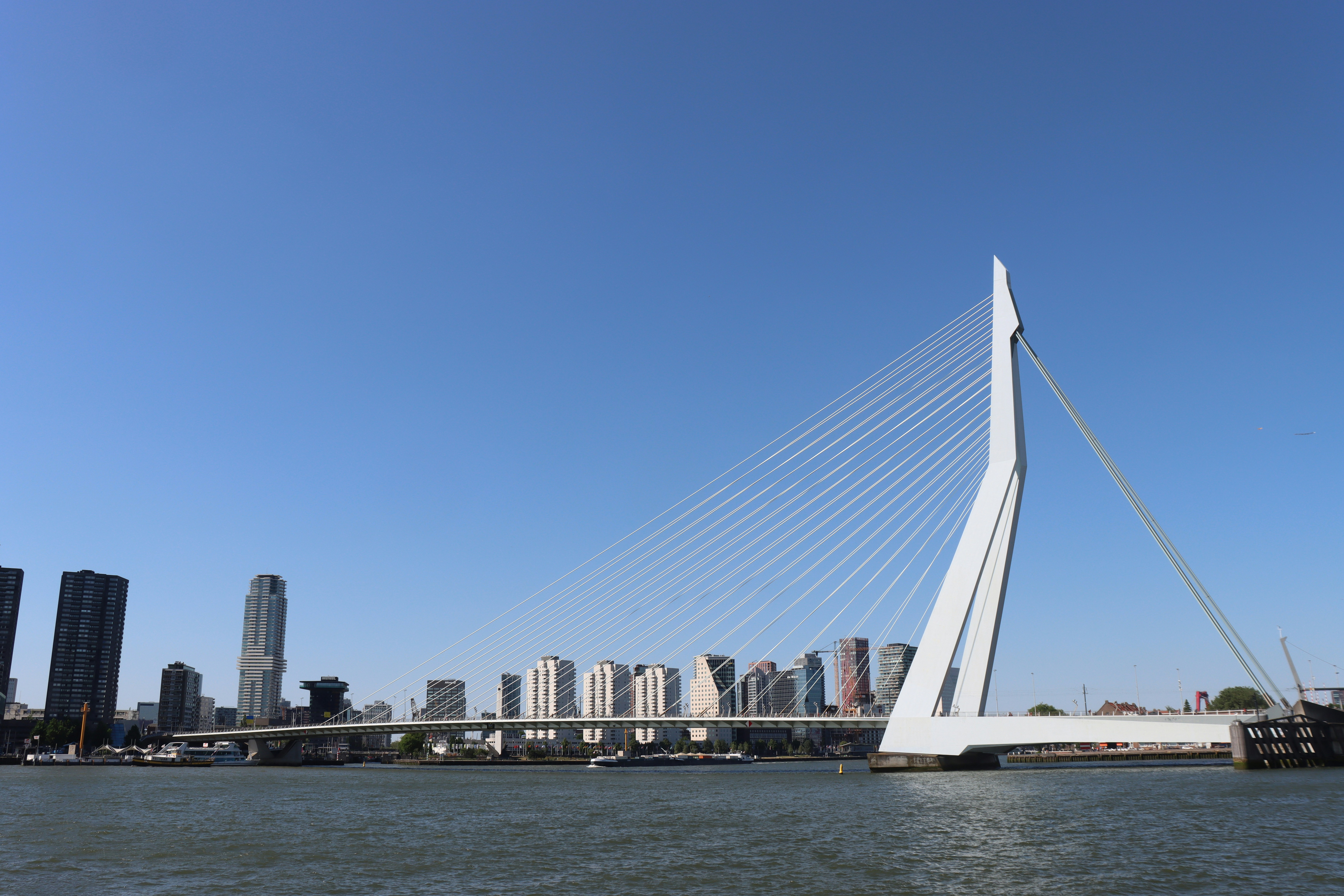 A very tall bridge over a large body of water photo – Free Erasmusbrug ...