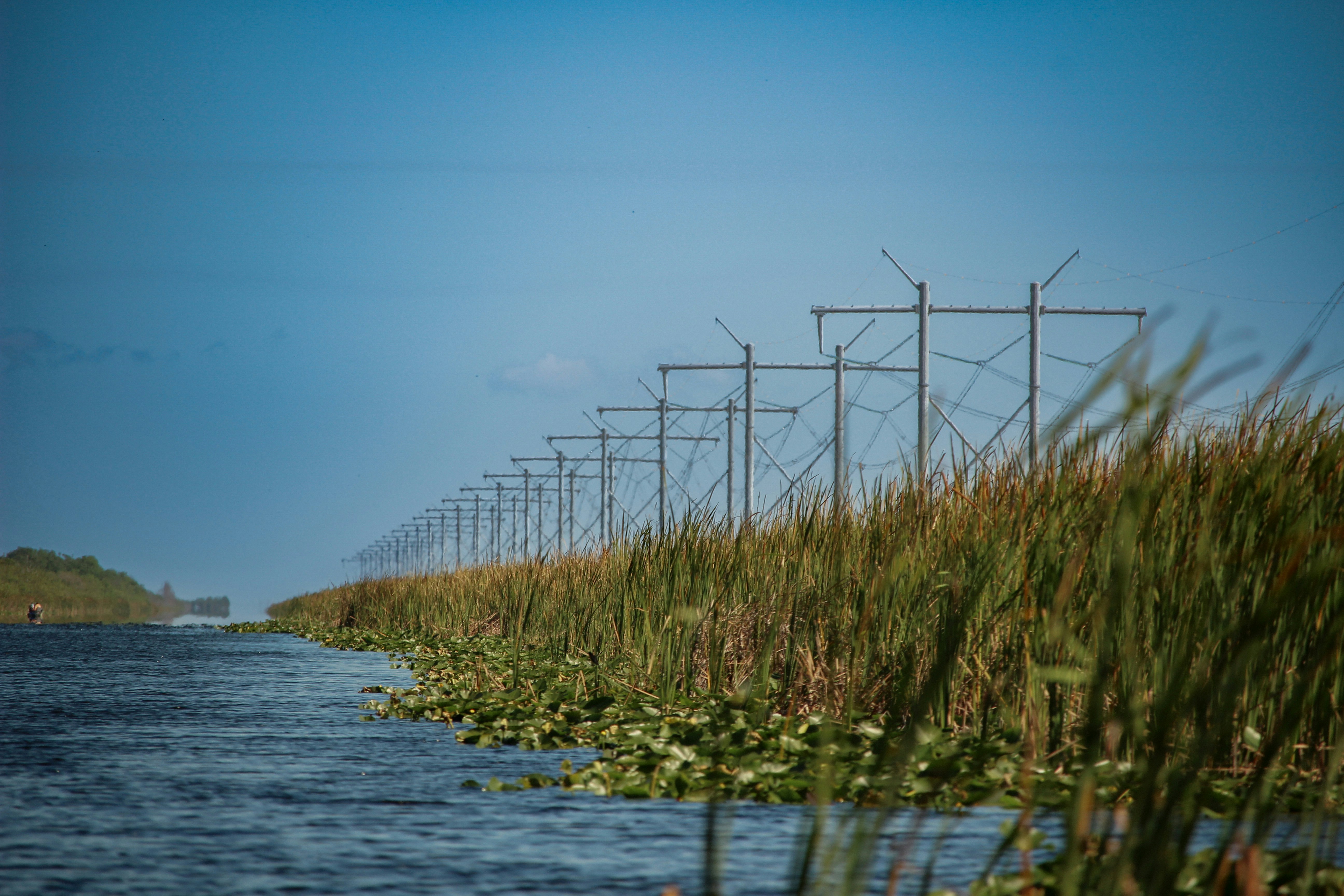 A row of power lines next to a body of water photo – Free Miami Image ...