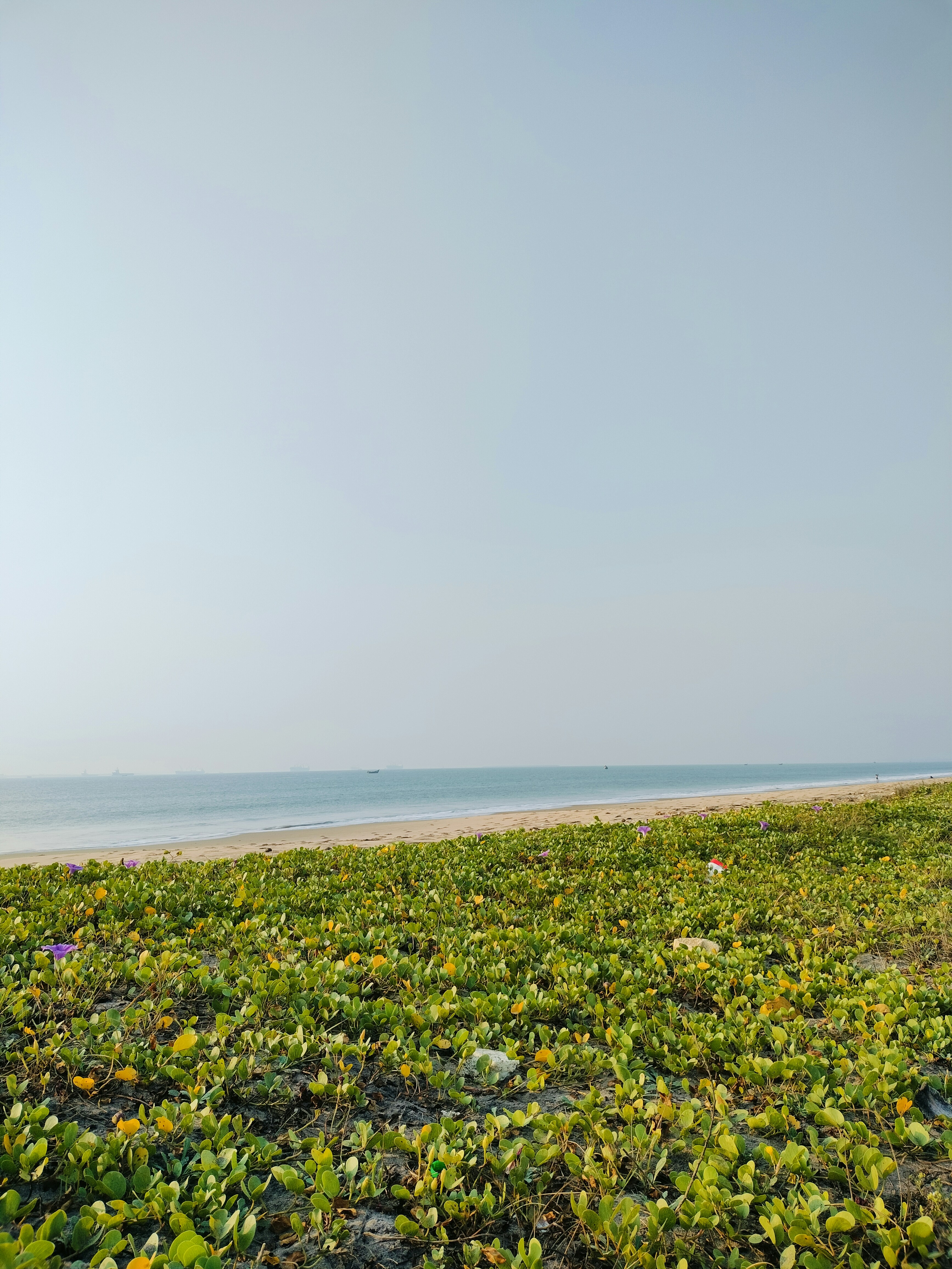 Photo by AMARNATH MANCHIMSETTI with OnePlus Nord CE 2 Lite