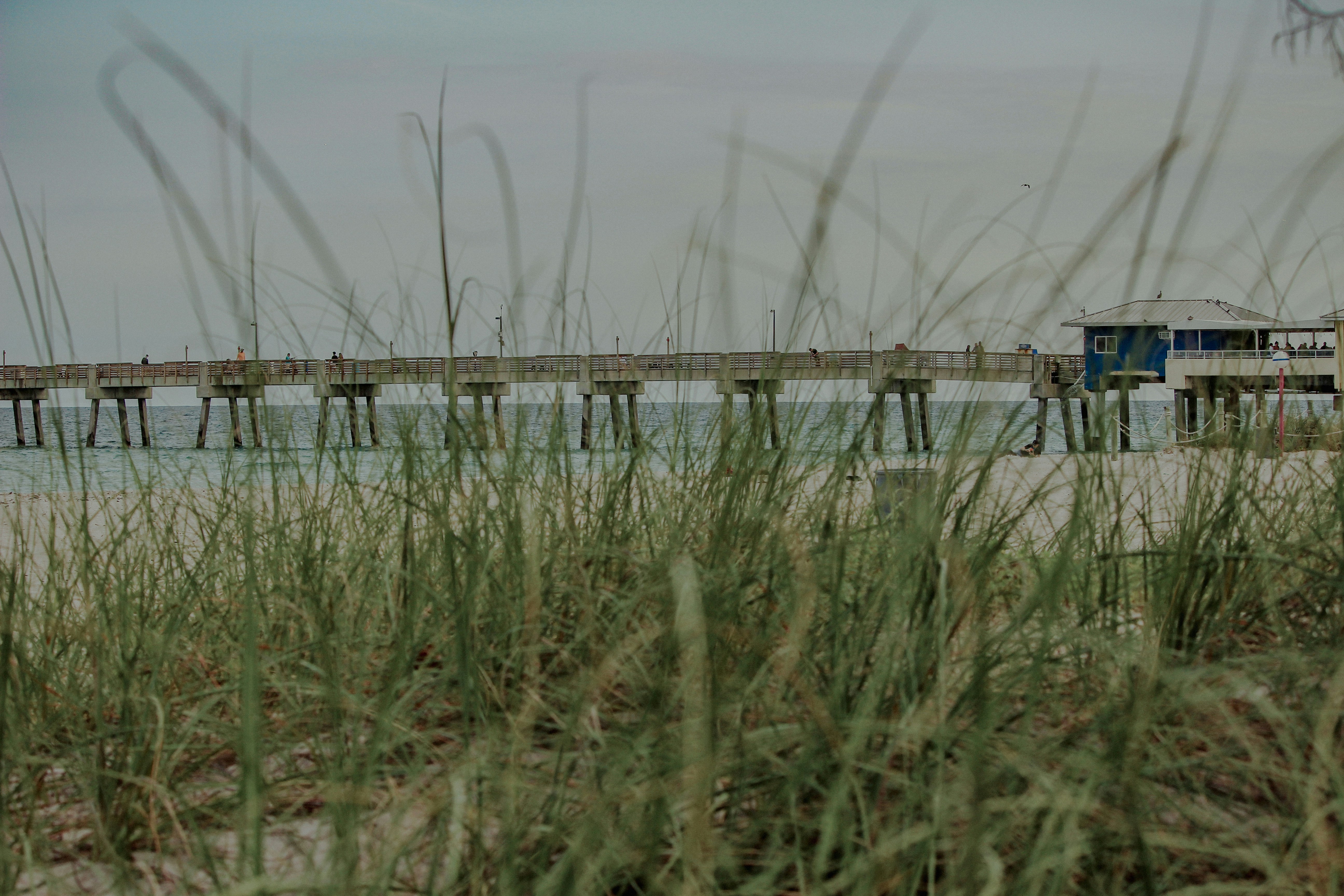 Photo by Blue Hound with Canon EOS 100D