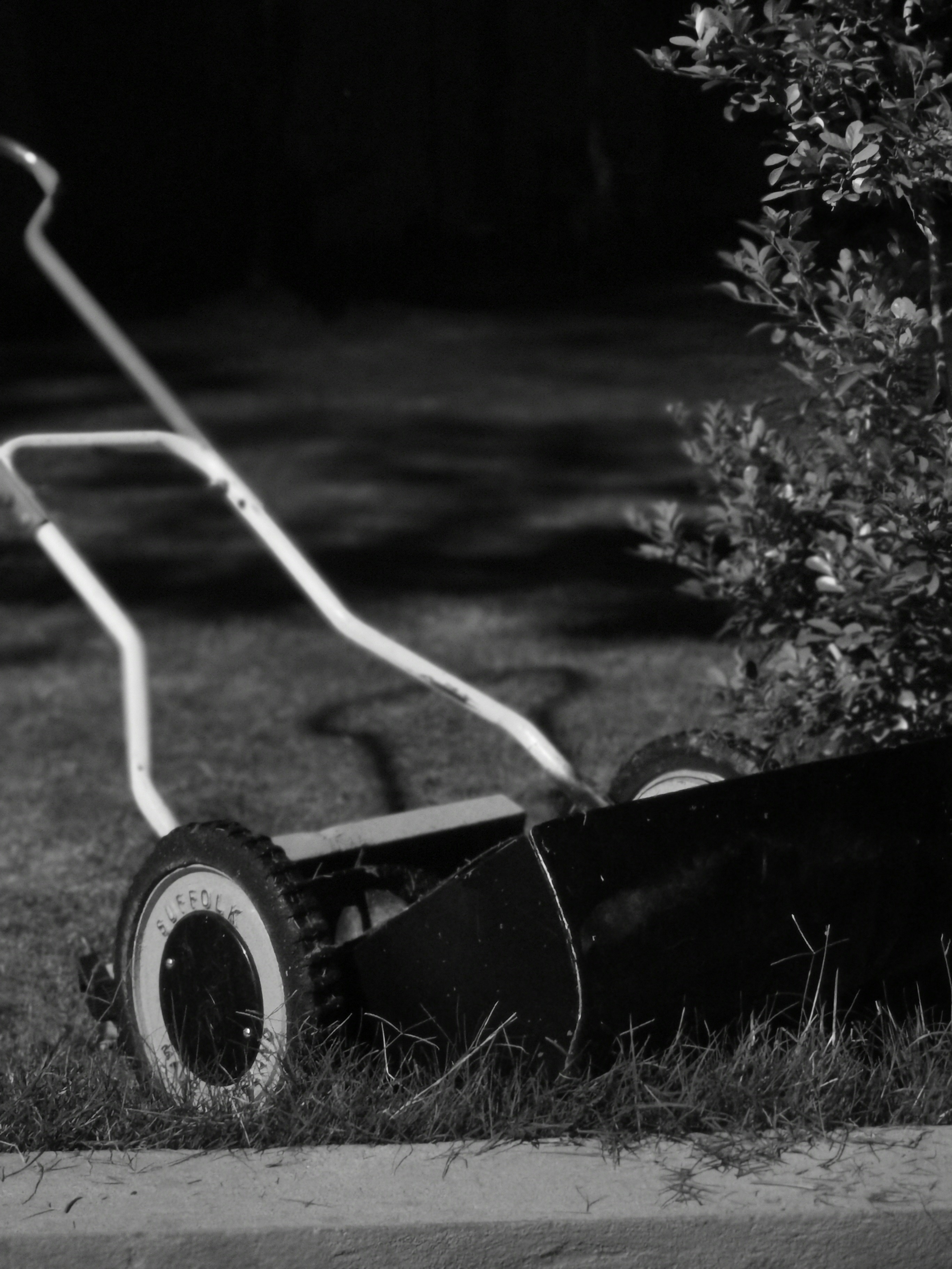 Moonlit Wheelbarrow by the Lawn: A Quiet Portrait of Metal and Shadow