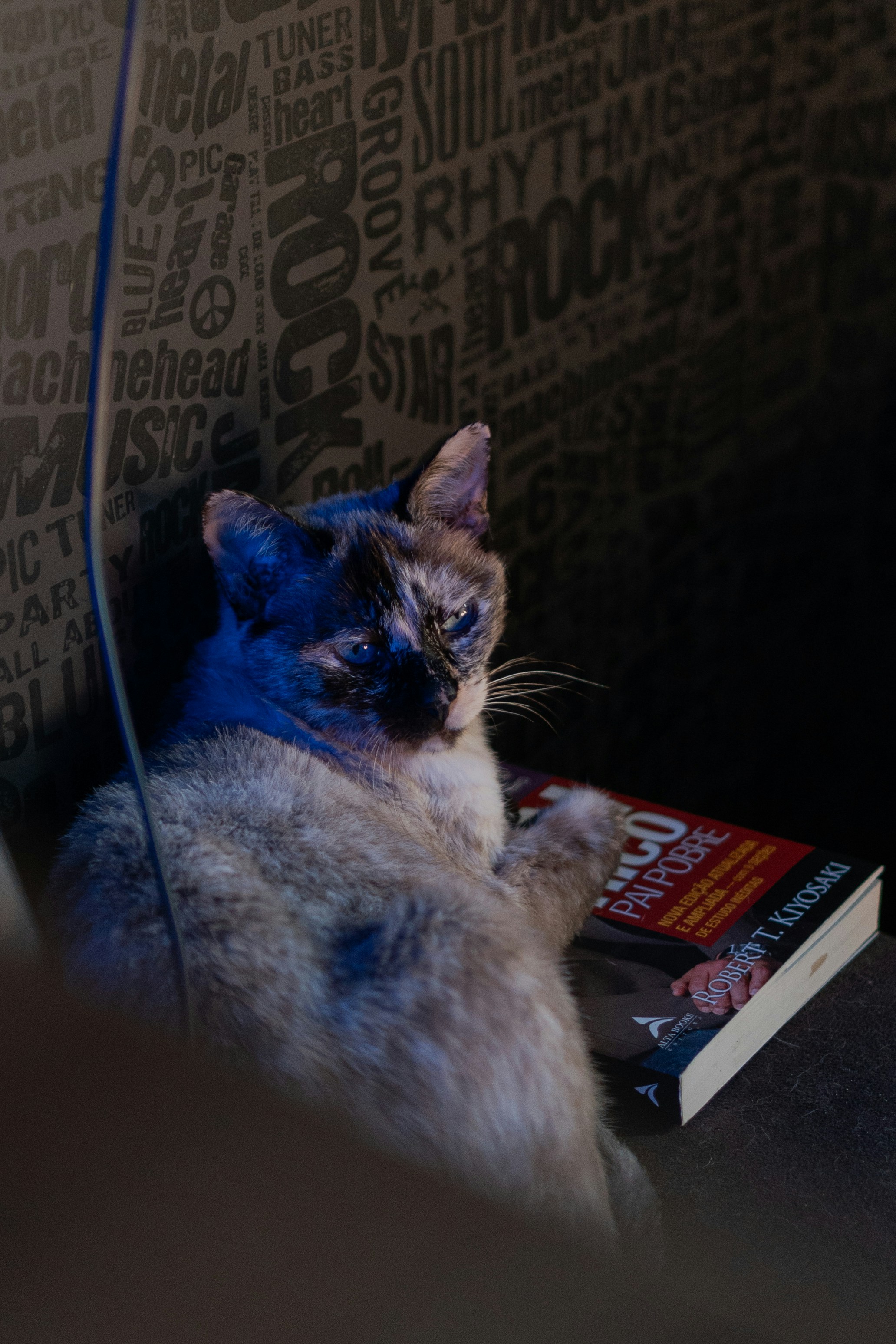 Blue-Tinted Cat Nap by the Page-Ted Wall