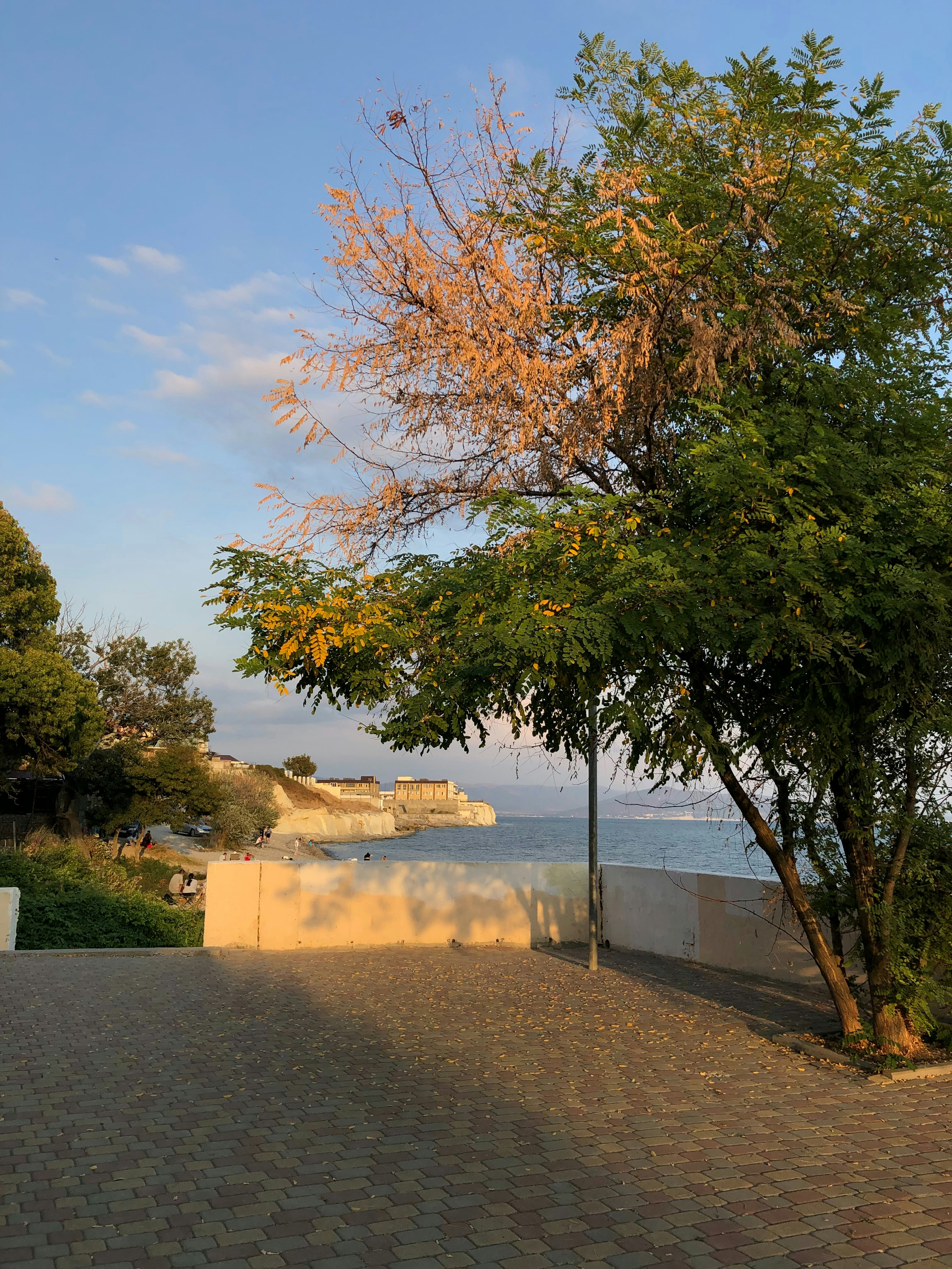 Amber Canopy Over a Seafront Promenade at Golden Hour