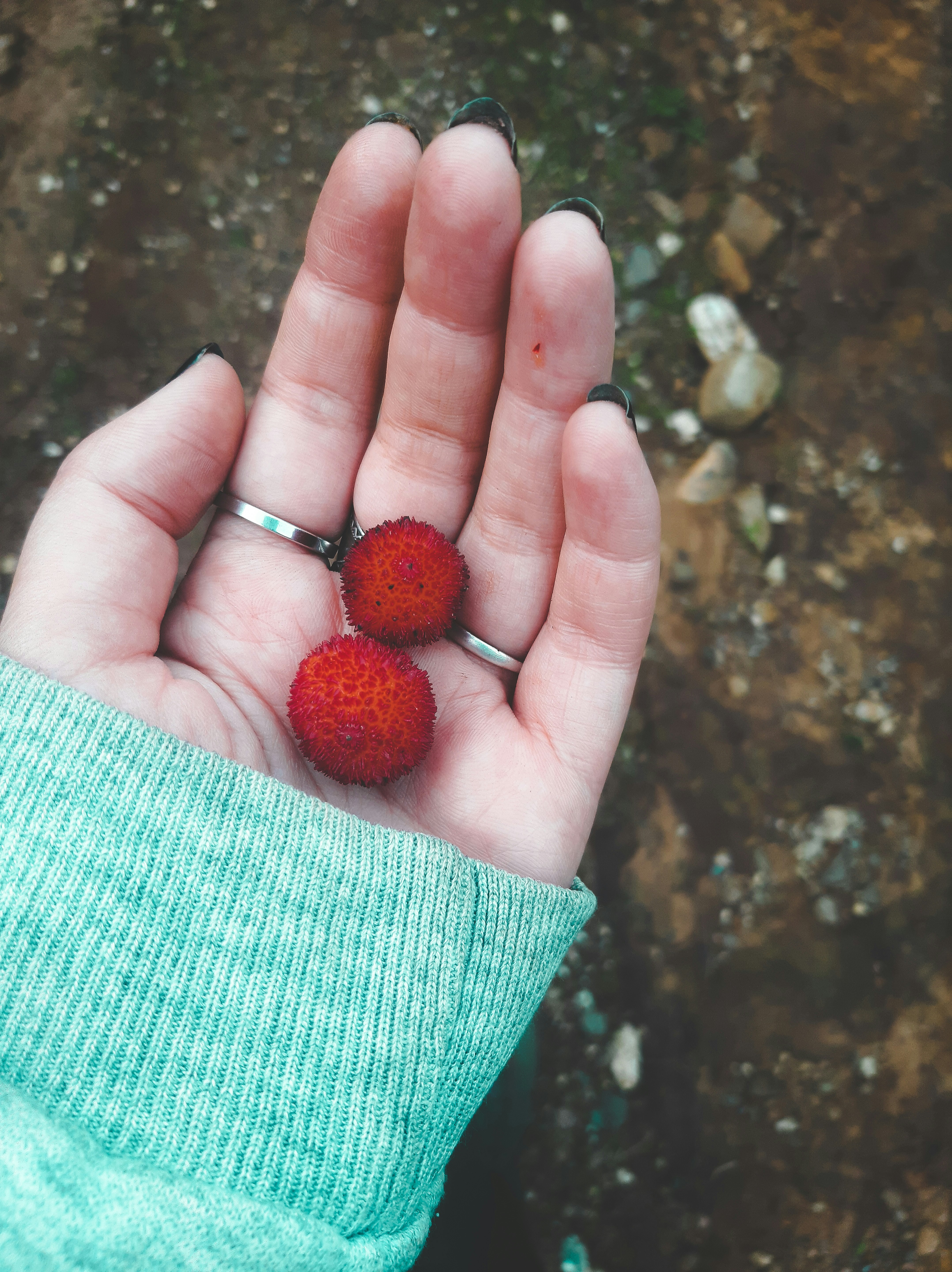 Scarlet orbs cradled in a mint sleeve: a quiet close-up on texture