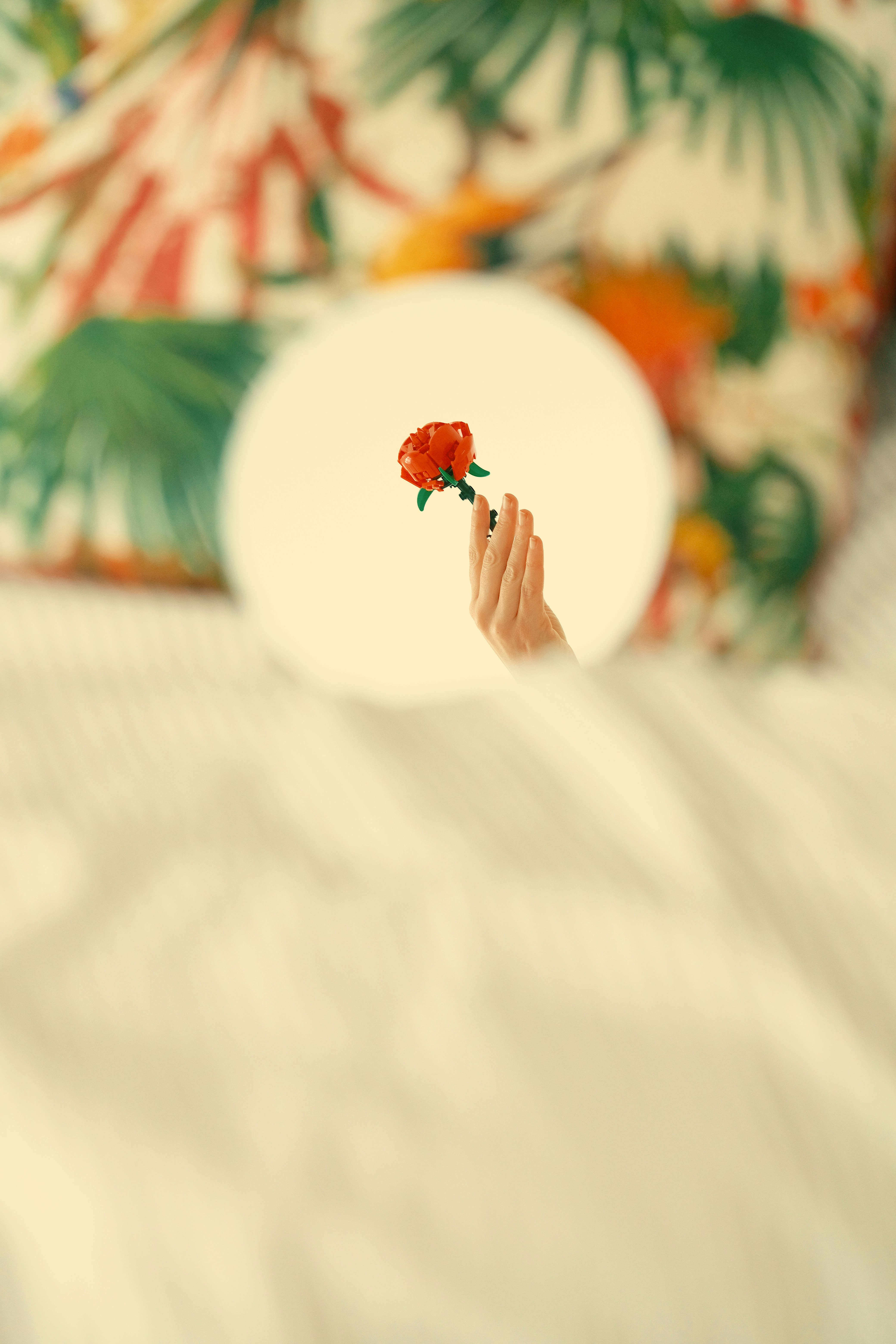 A single red bloom lifted toward a sunlit halo above a blurred tropical backdrop