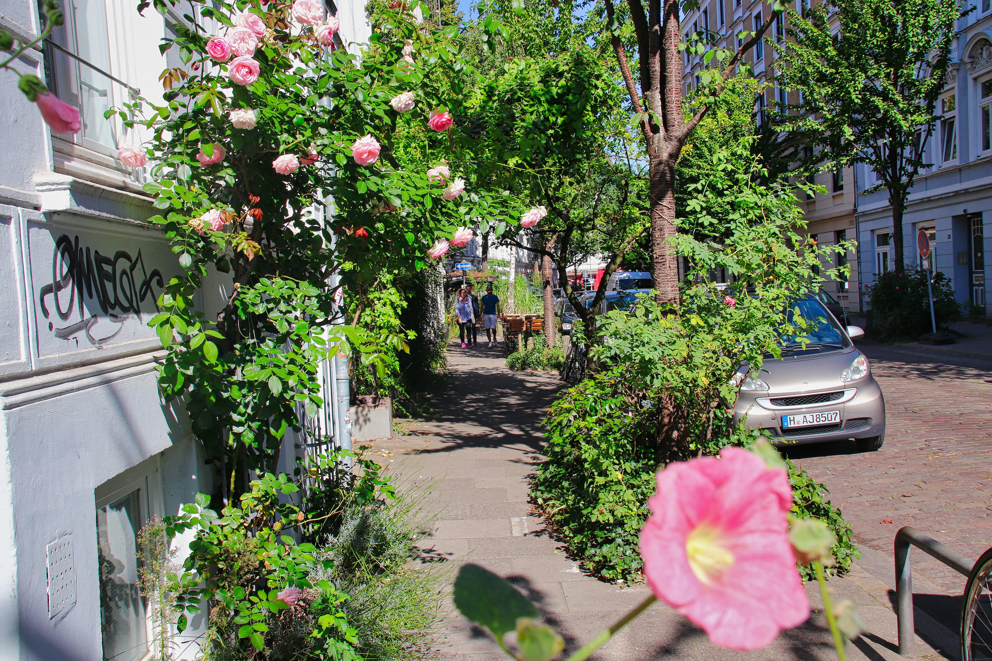Un quartier commerçant populaire et branché avec de nombreux restaurants