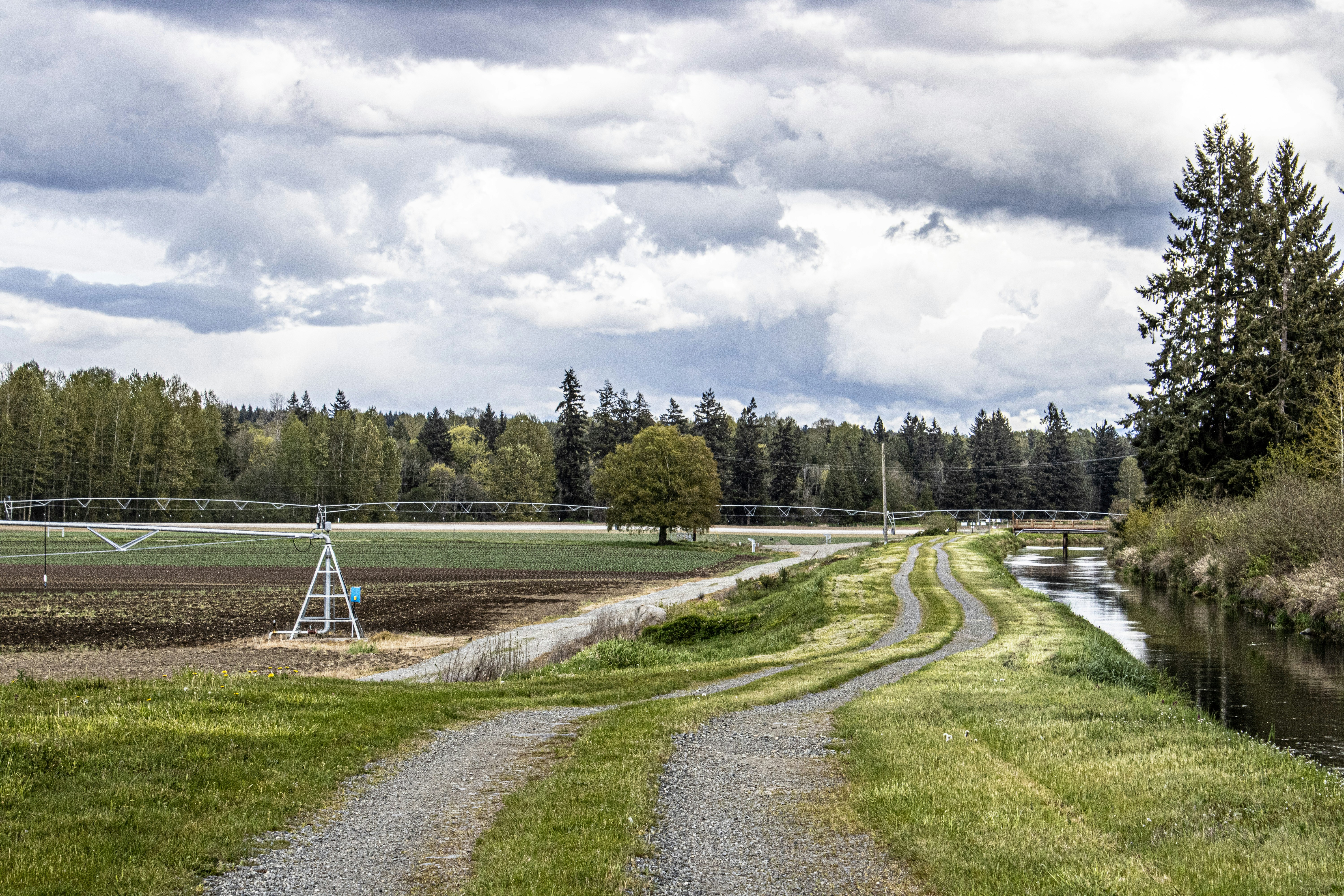 Sprinkler Tower and Forked Path Beneath a Clouded Sky