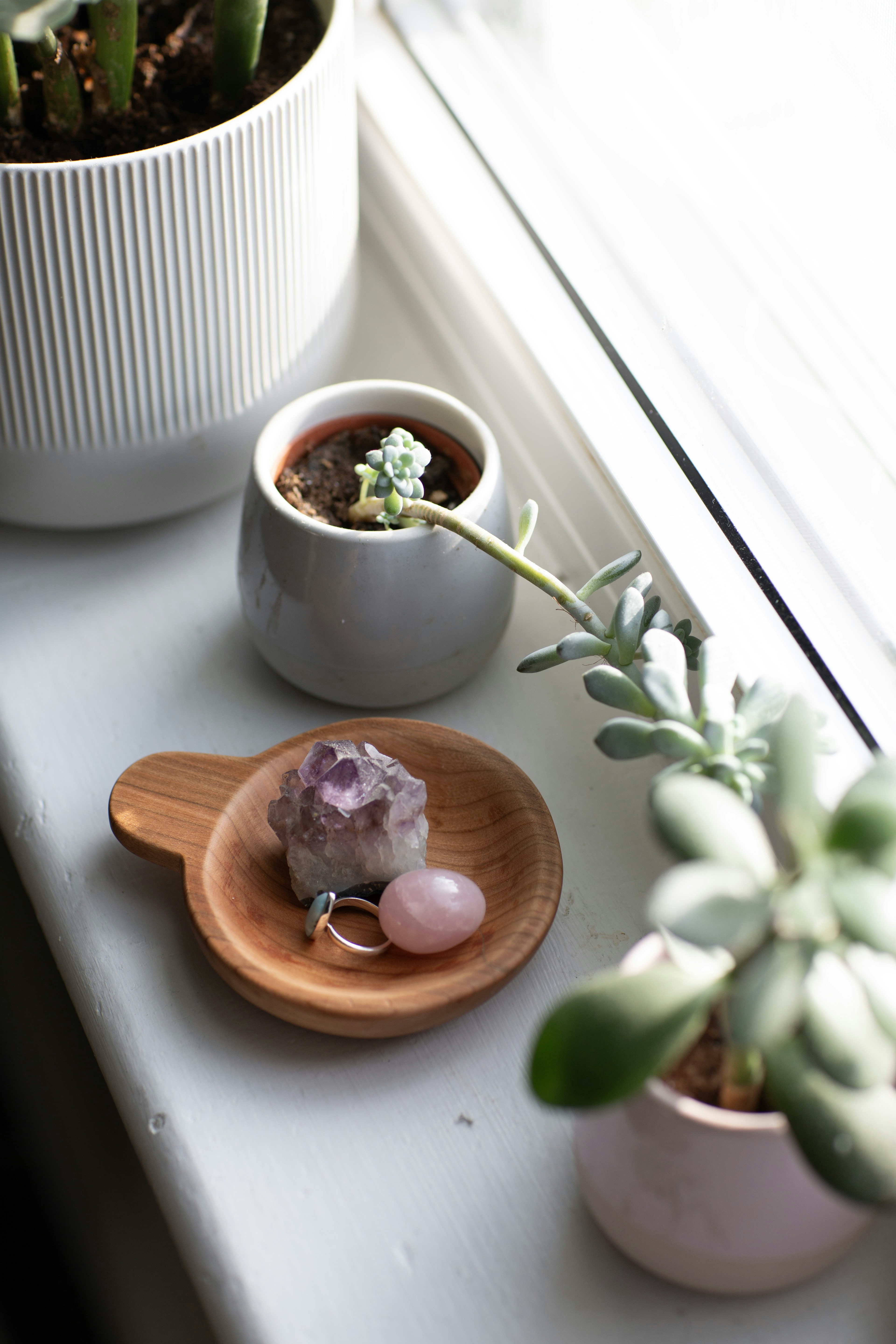 Photo by Christina Jager with Canon EOS 5D Mark III