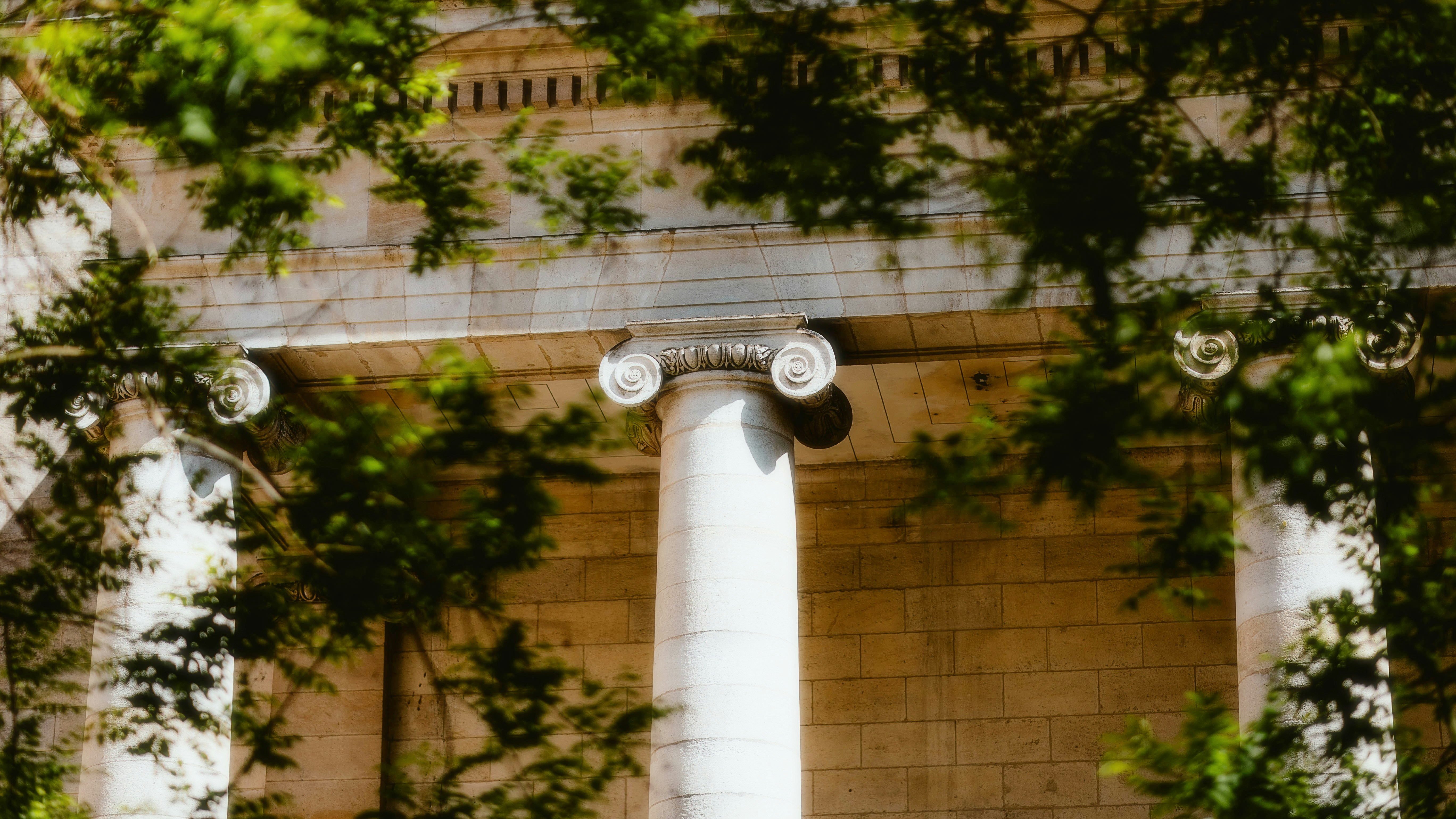 Hidden Columns: Classical Courtyard Under Lattice of Leaves
