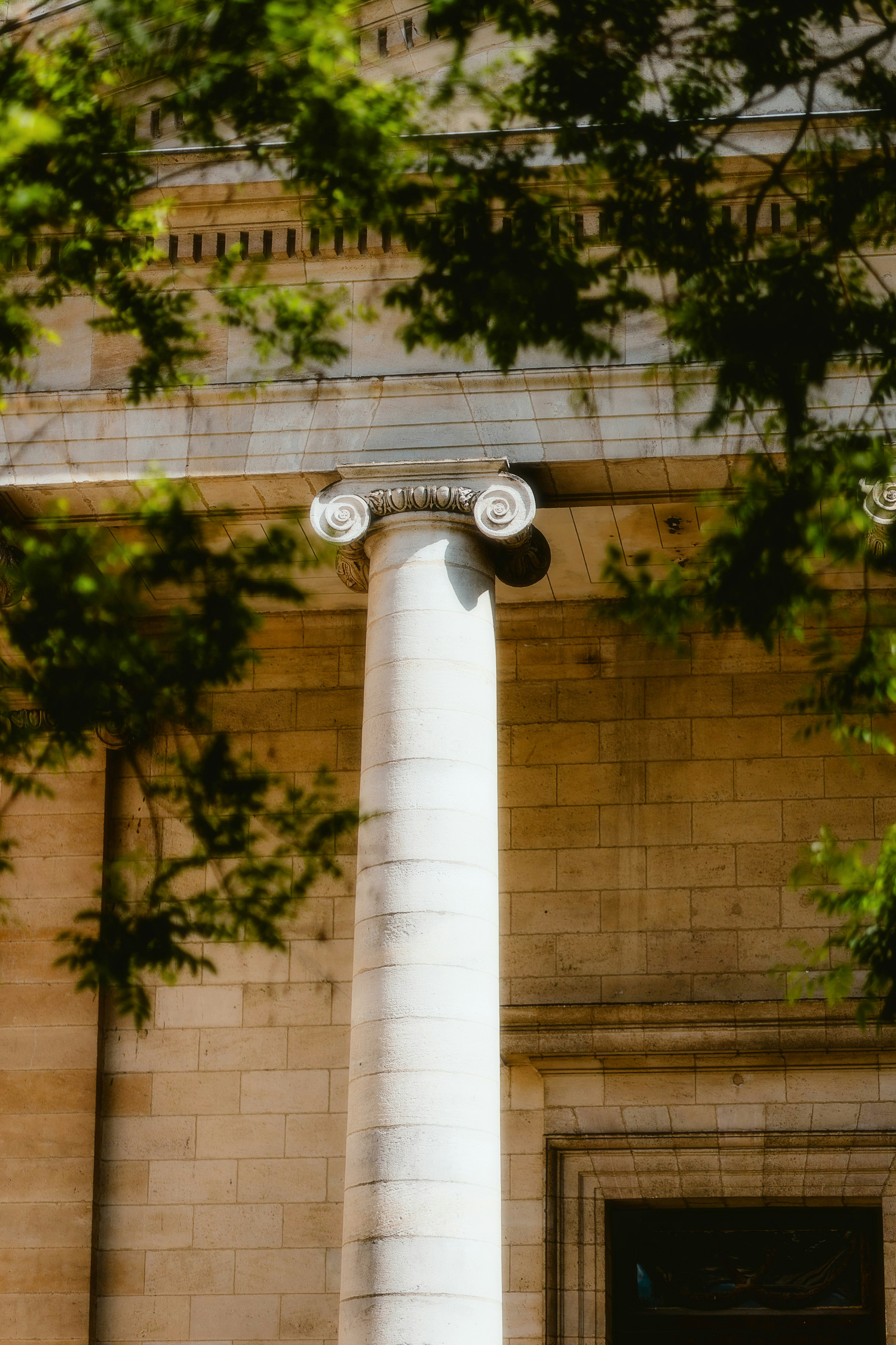 Classical Column Framed by Green Canopy Above a Stone Facade