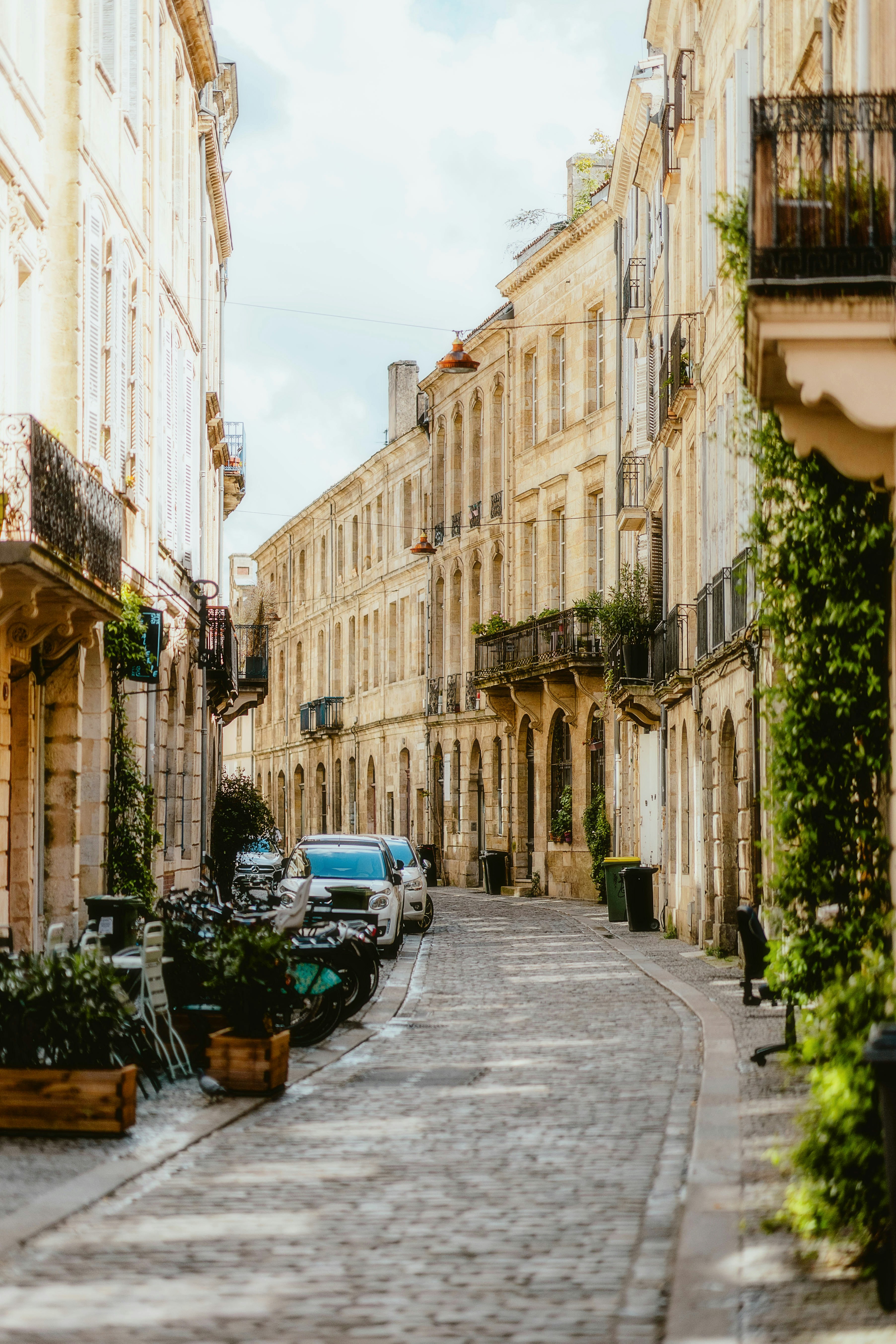 Photo by Alin Gavriliuc with Canon EOS R6