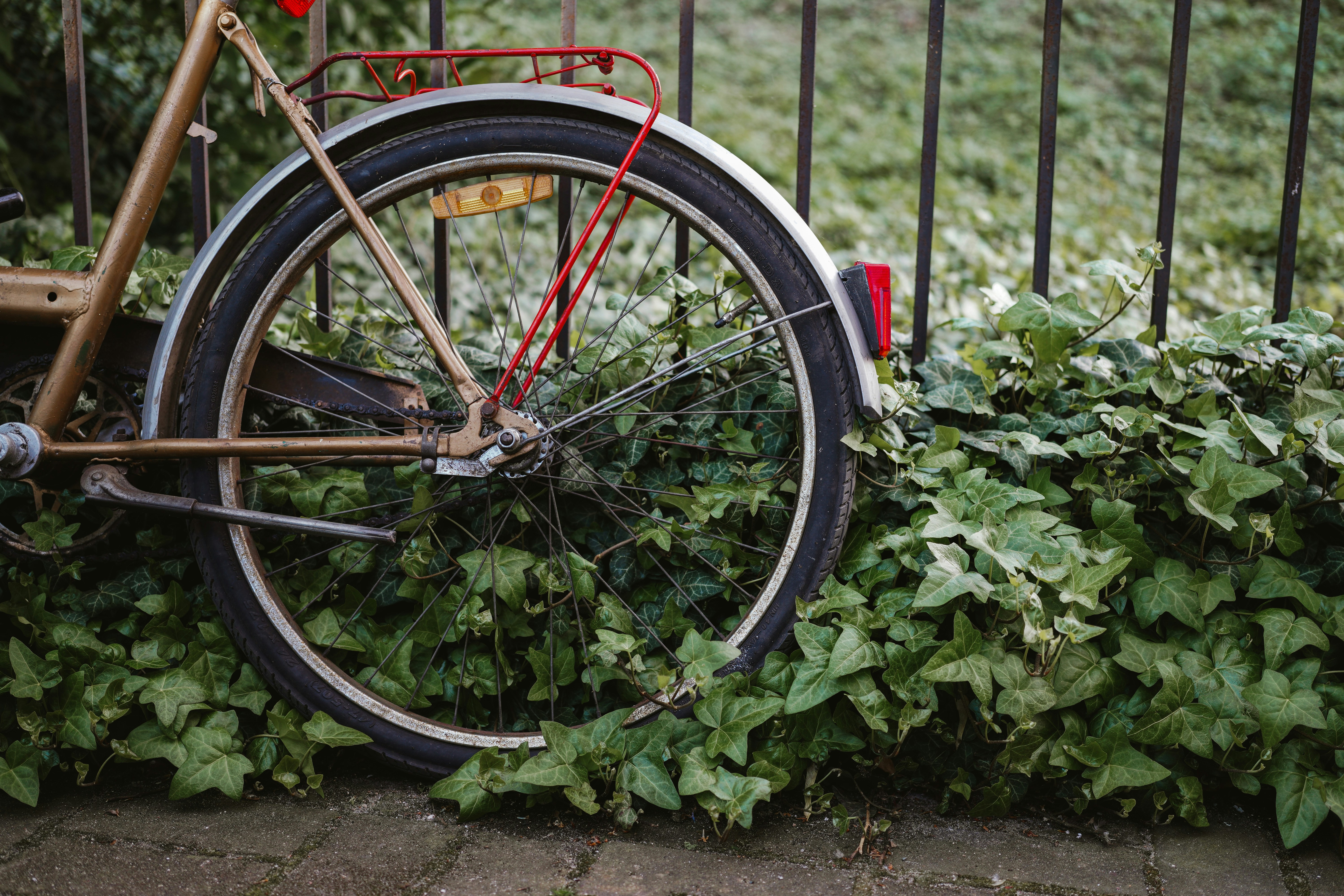 An old bicycle is leaning against a fence photo – Free Wheel Image on ...