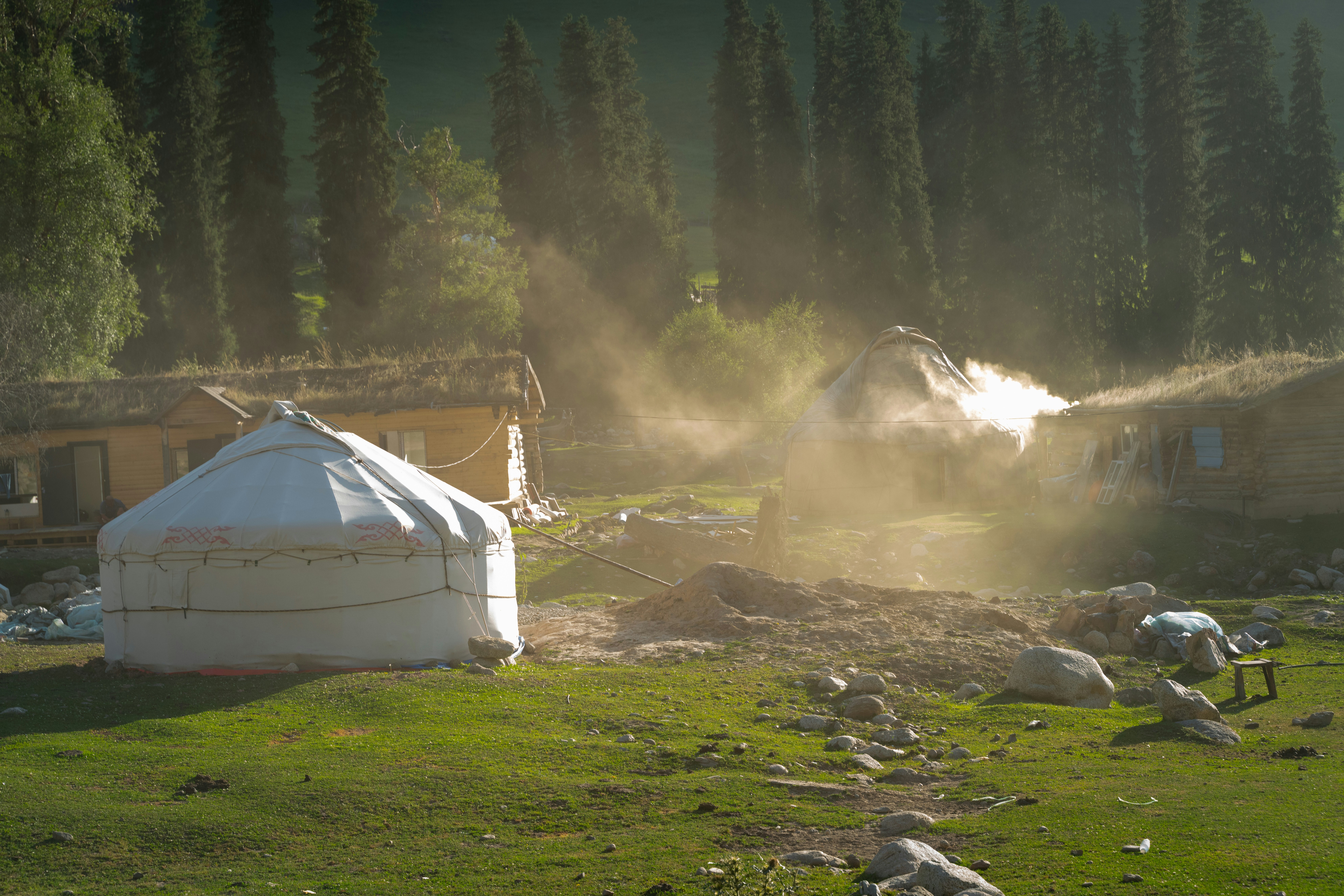 Dawn Drift Over a Yurt Camp: Dust, Steam and Pine Shadows