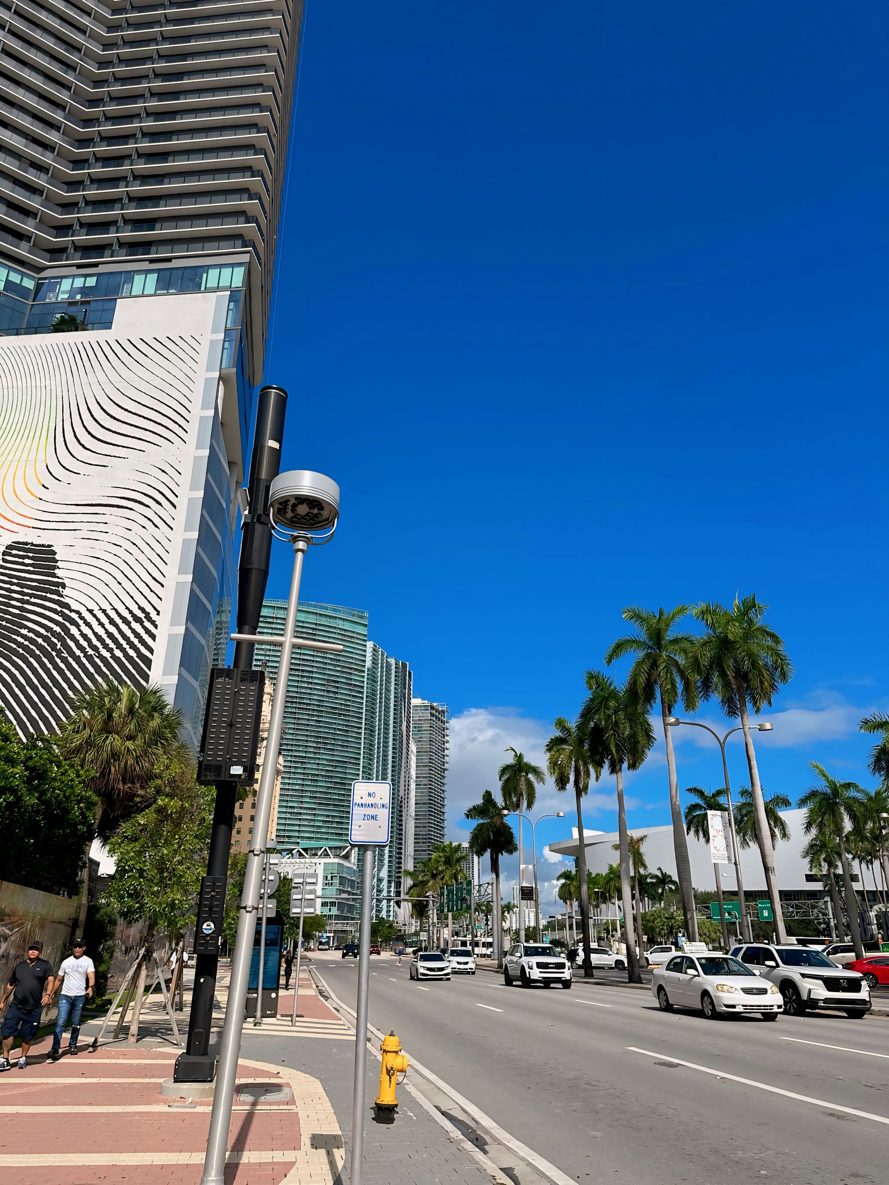 Azure Sky Over a Palm-Lined Boulevard Between Glass Giants