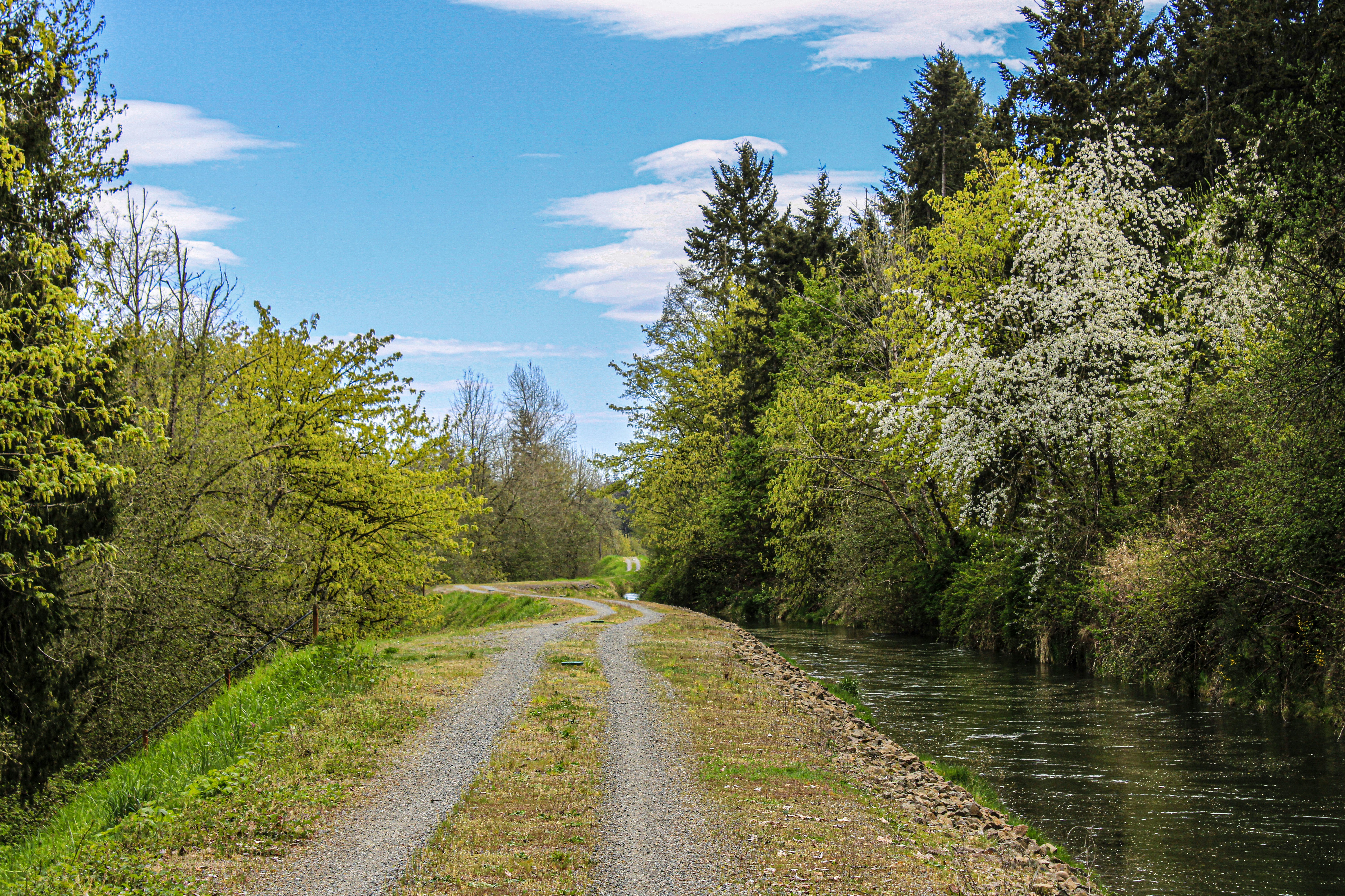 Riverside Gravel: A Quiet Path Toward the Distant Bend