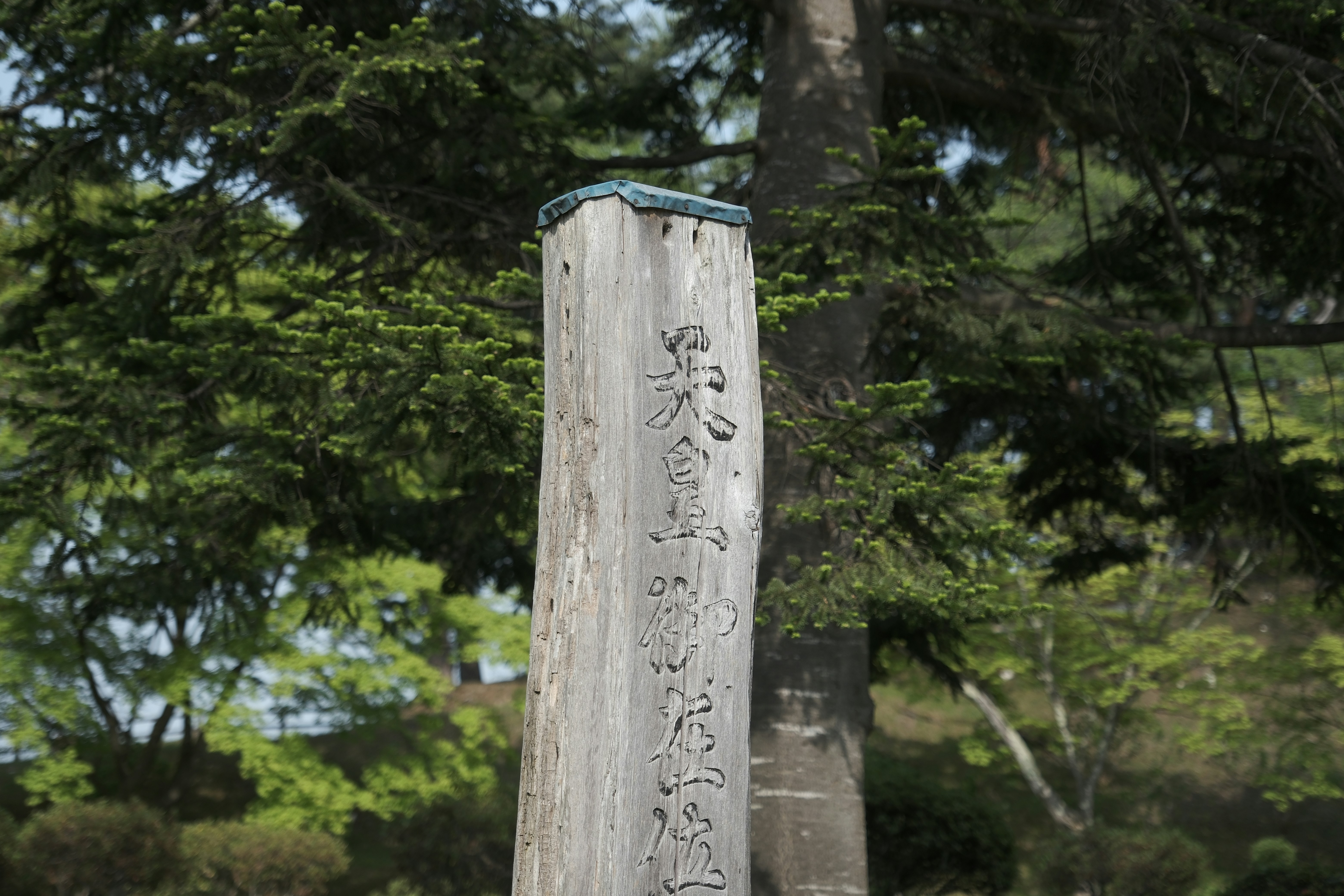 Photo by Seiya Maeda with Fujifilm X-H2S