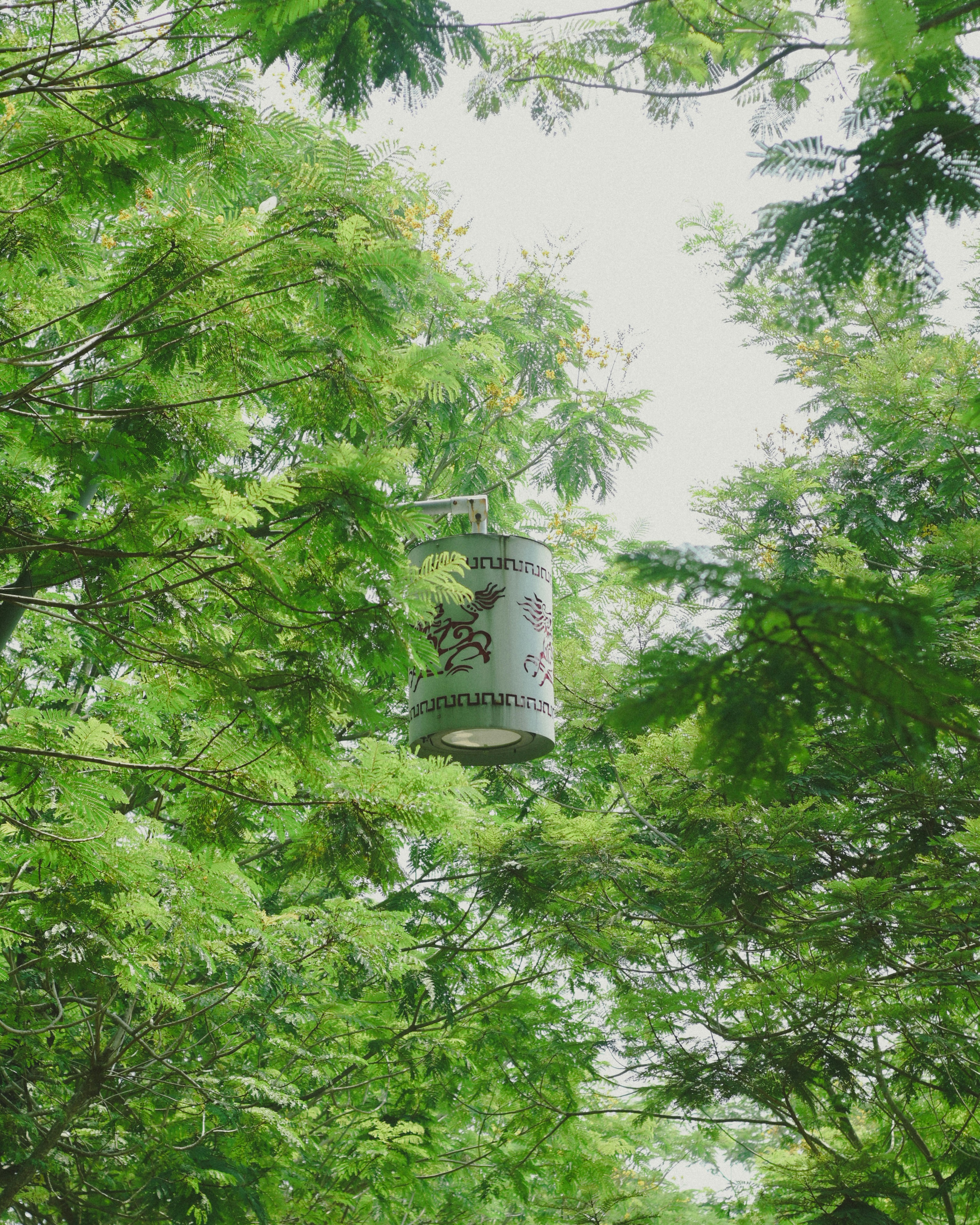 Photo by Le Thanh Huyen with Nikon Zfc