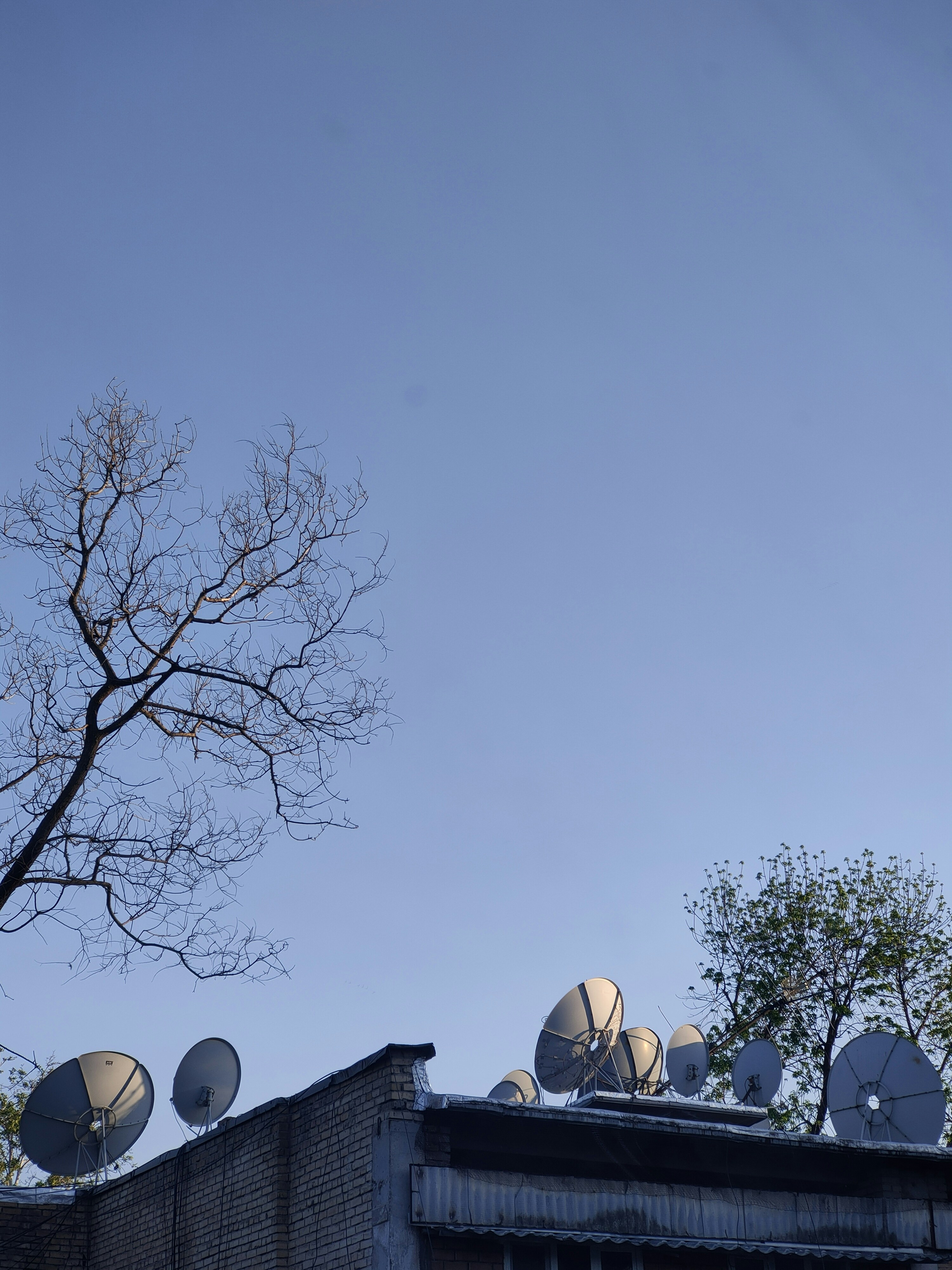 Rooftop Satellite Mosaic Beneath a Cerulean Sky