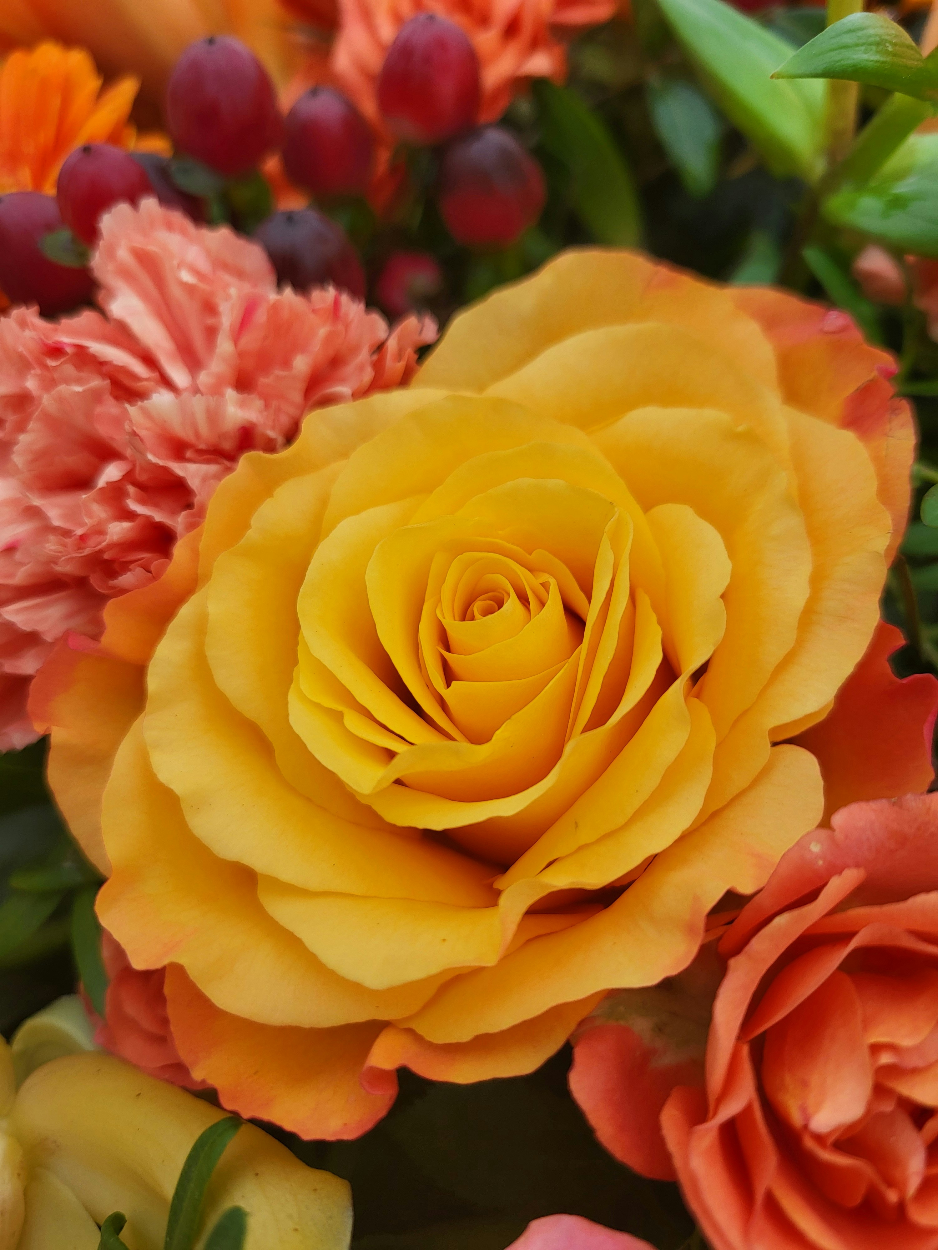 A vibrant yellow rose surrounded by soft pink and red flowers, showcasing the beauty of floral arrangements.