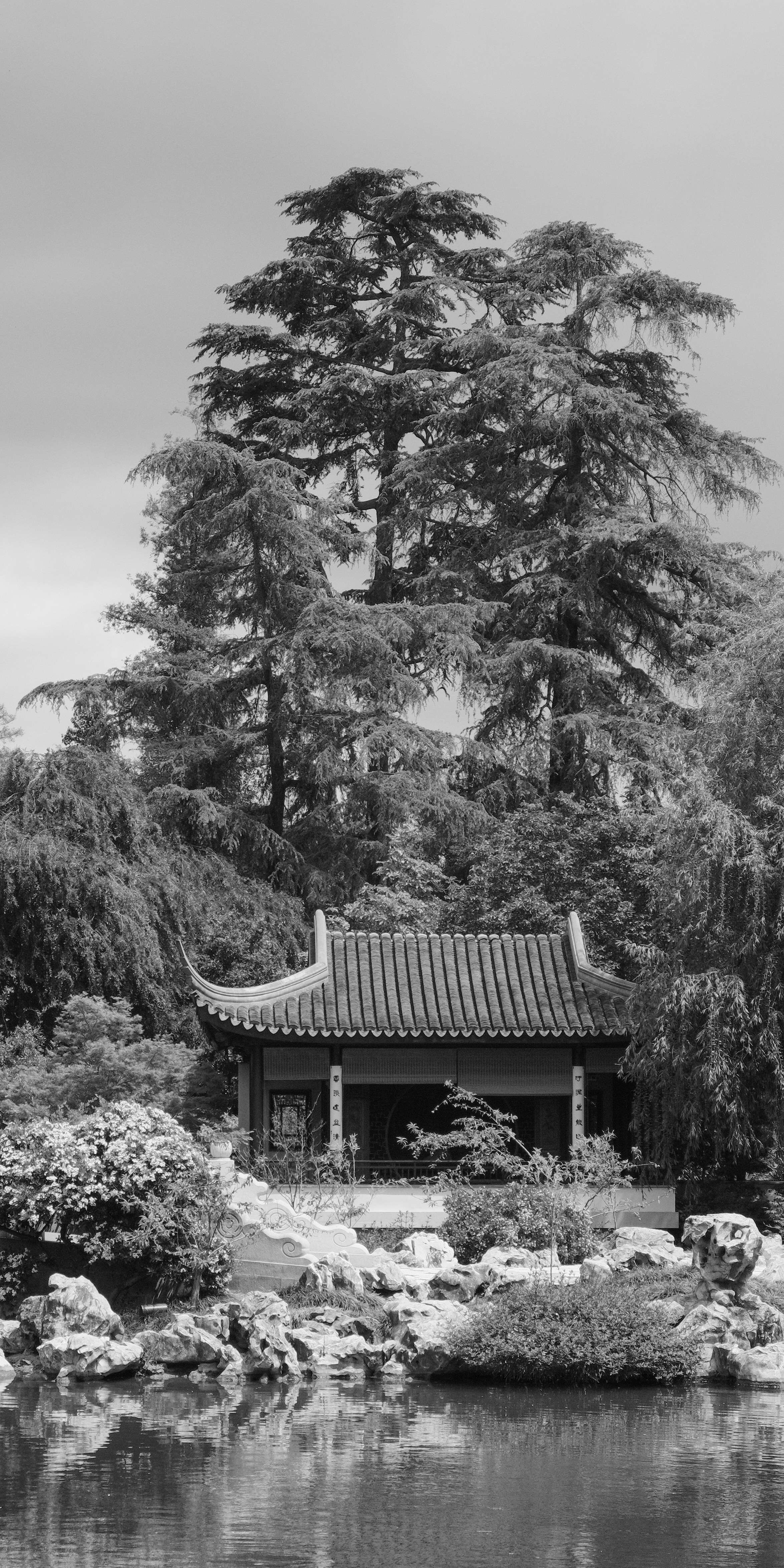 Kai Vu (@kaivu) | Unsplashフォトコミュニティ