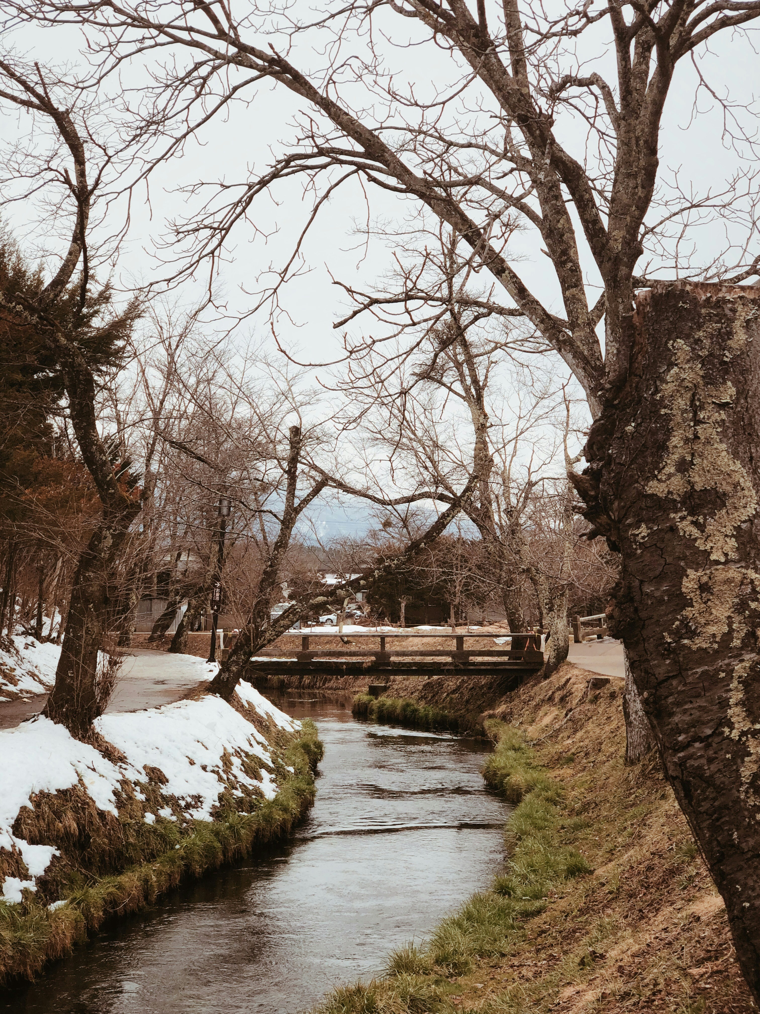 Kevin Troy Si (@kevosi) | Unsplash Photo Community