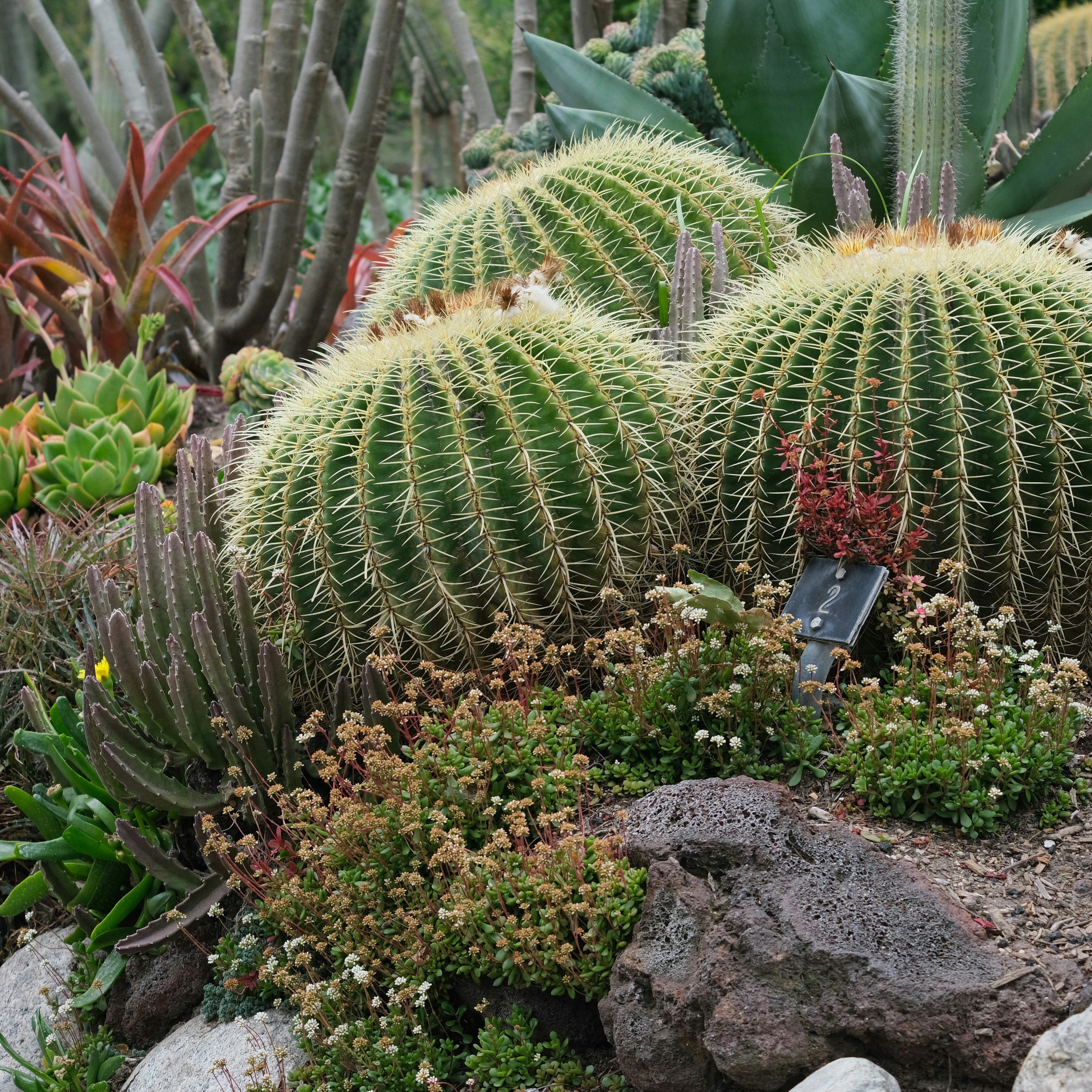 Kai Vu (@kaivu) | Unsplashフォトコミュニティ