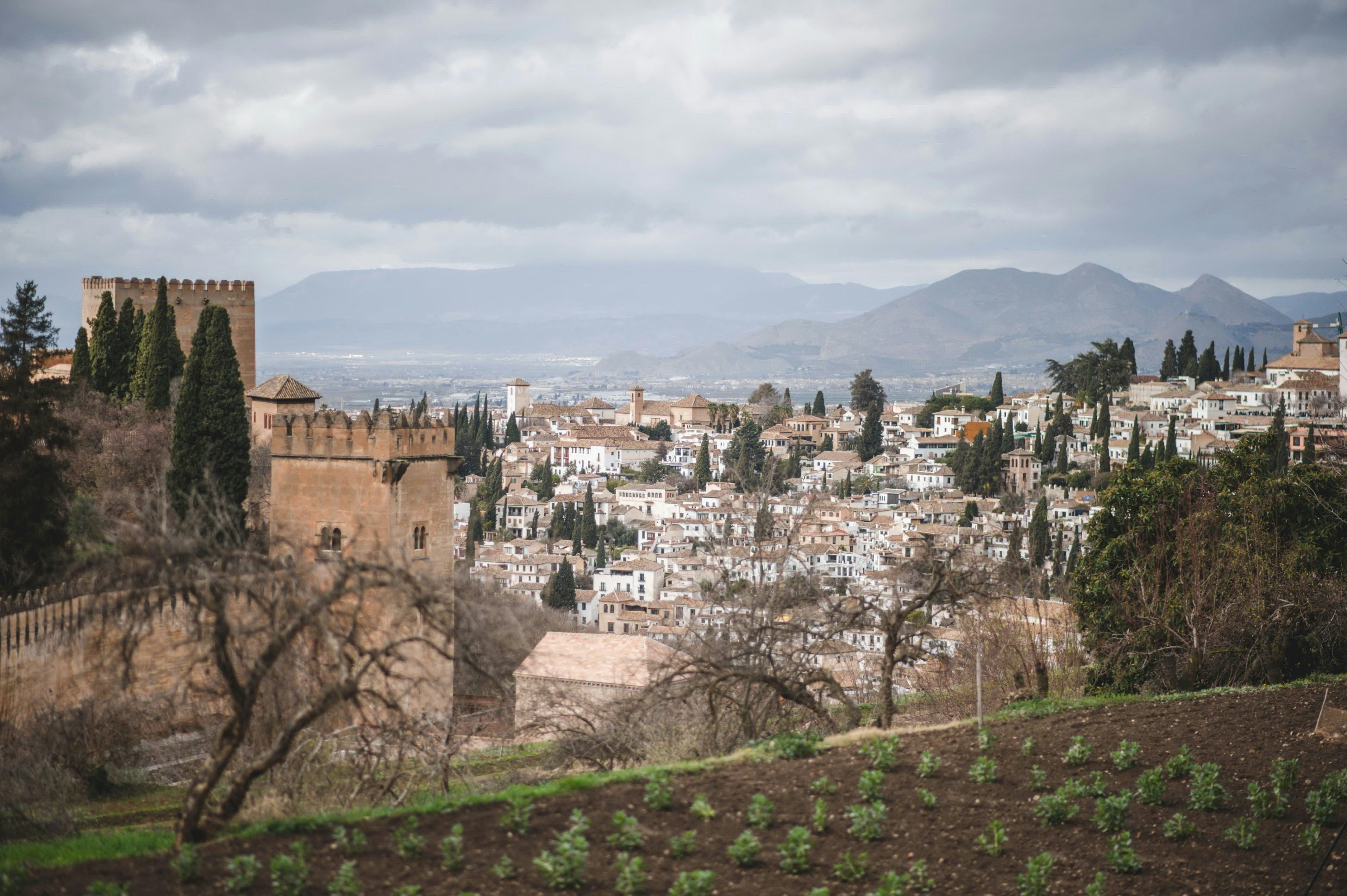 Left-Fortress Over Terraced Vines: A Quiet Hilltown Panorama