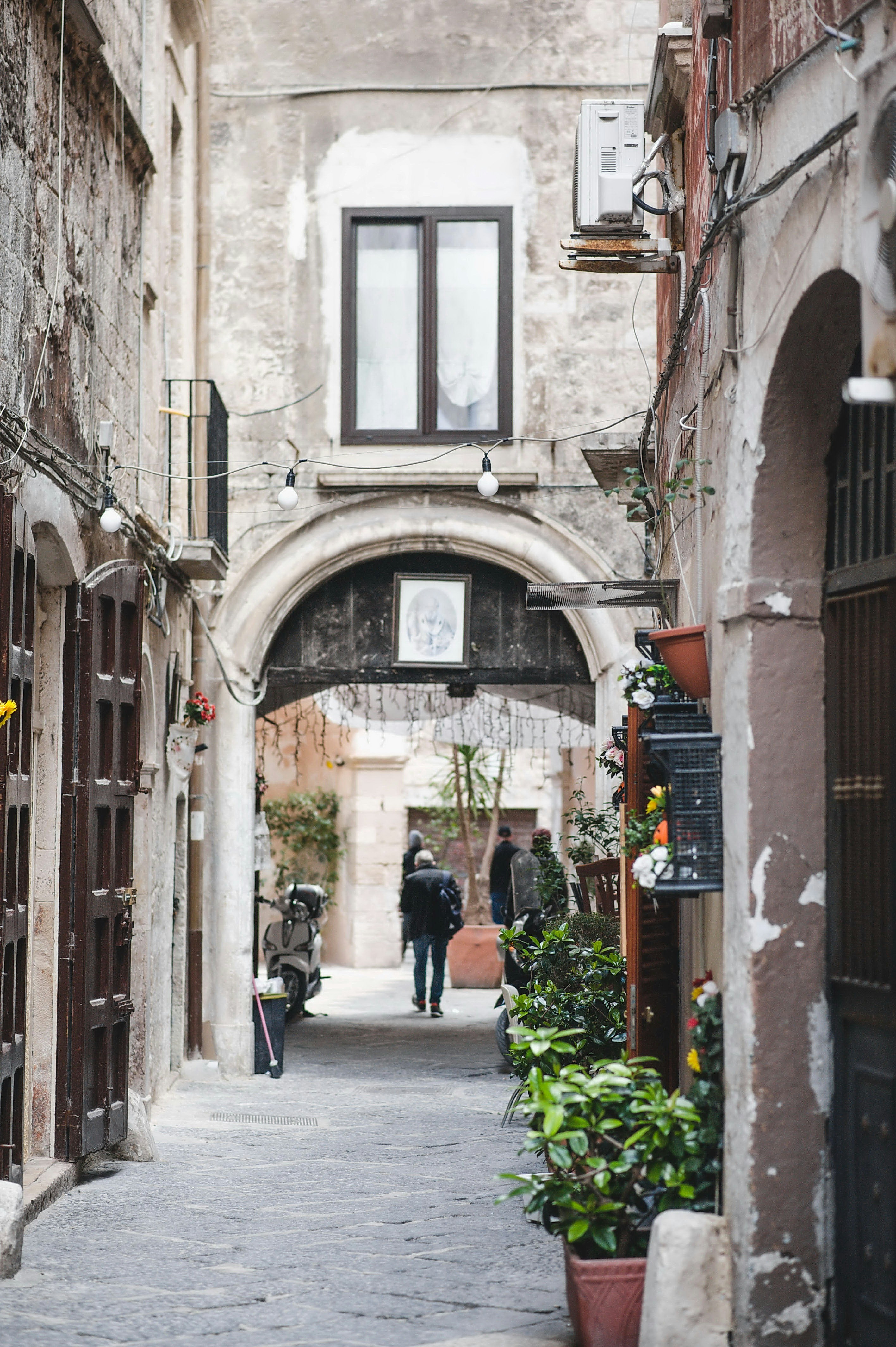 A narrow alley way with potted plants on either side photo – Free Bari ...