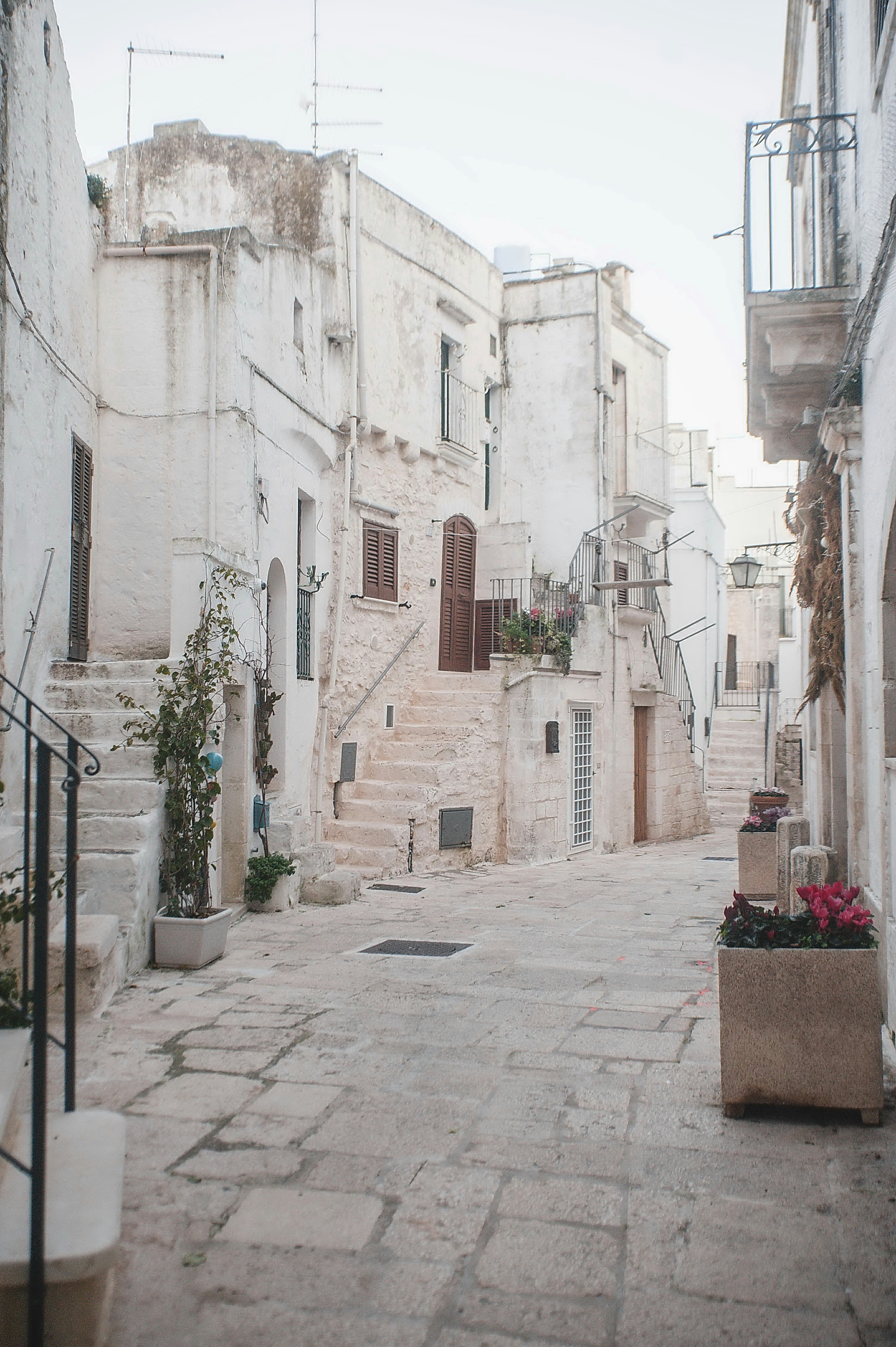 Whispers of History in a Tranquil Alleyway