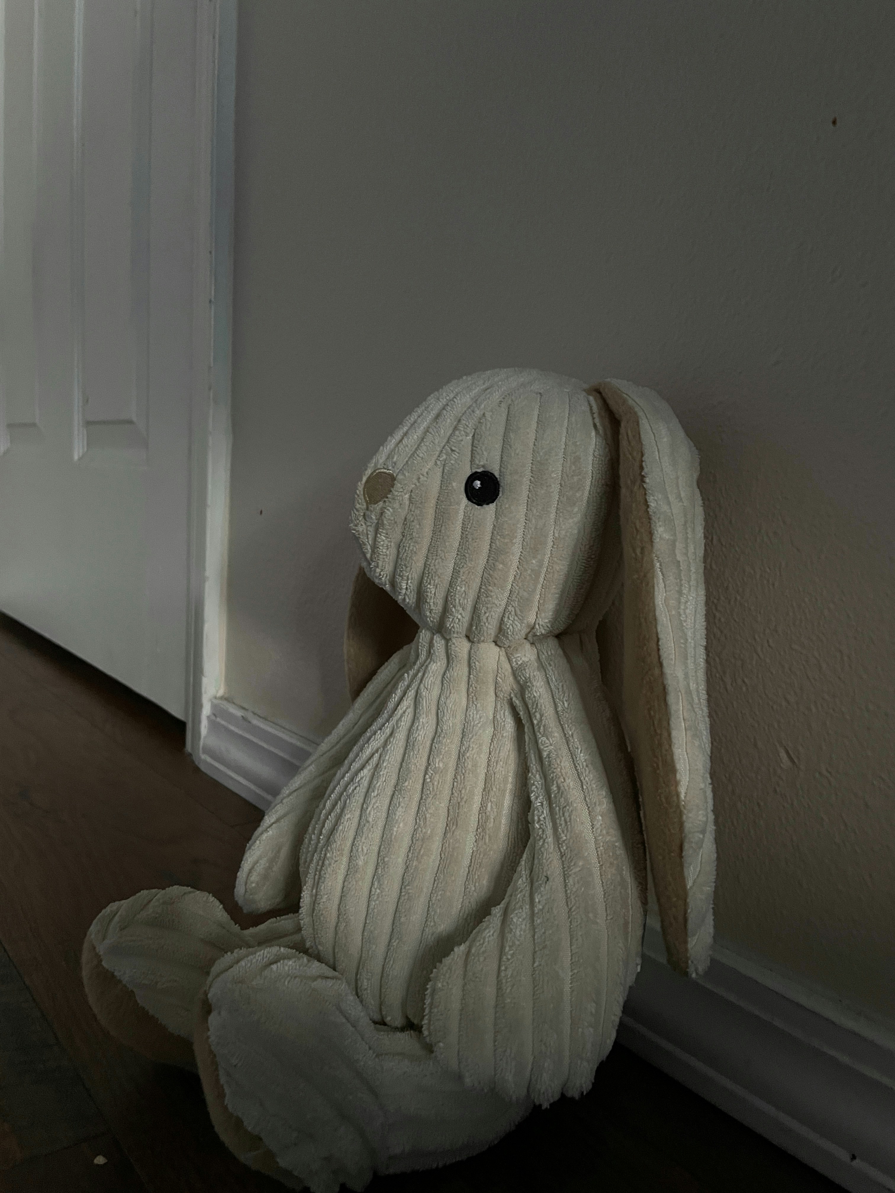 Dim Hallway Moment: A Velvet Plush Bunny in Quiet Corner