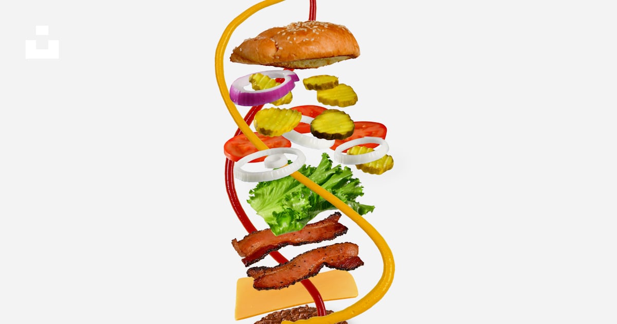 케첩 겨자 양상추 토마토 그리고 사진 Unsplash의 무료 음식 이미지