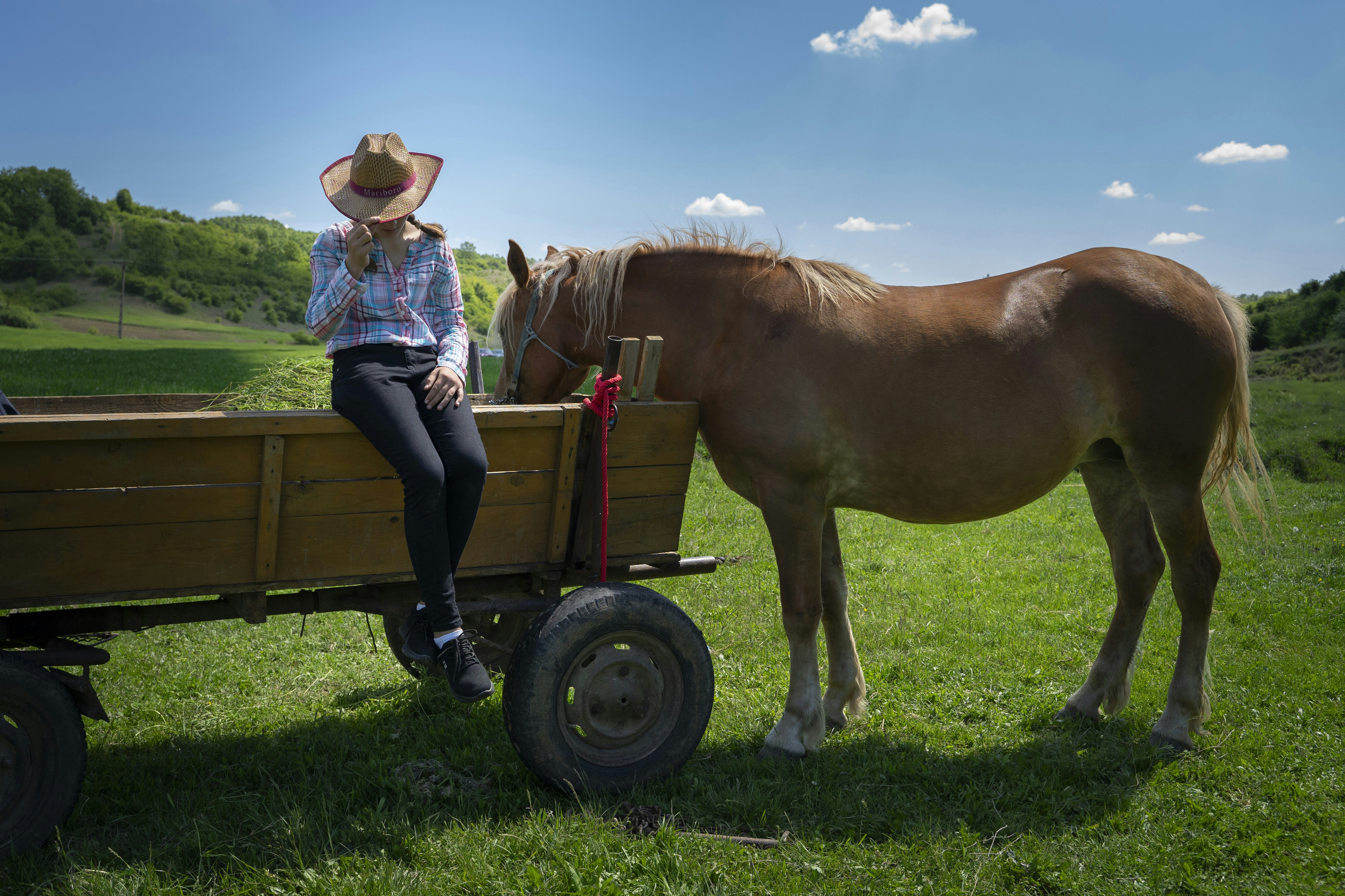 Person in a cowboy hat sitting on a wooden cart next to a brown horse in a sunny green field.