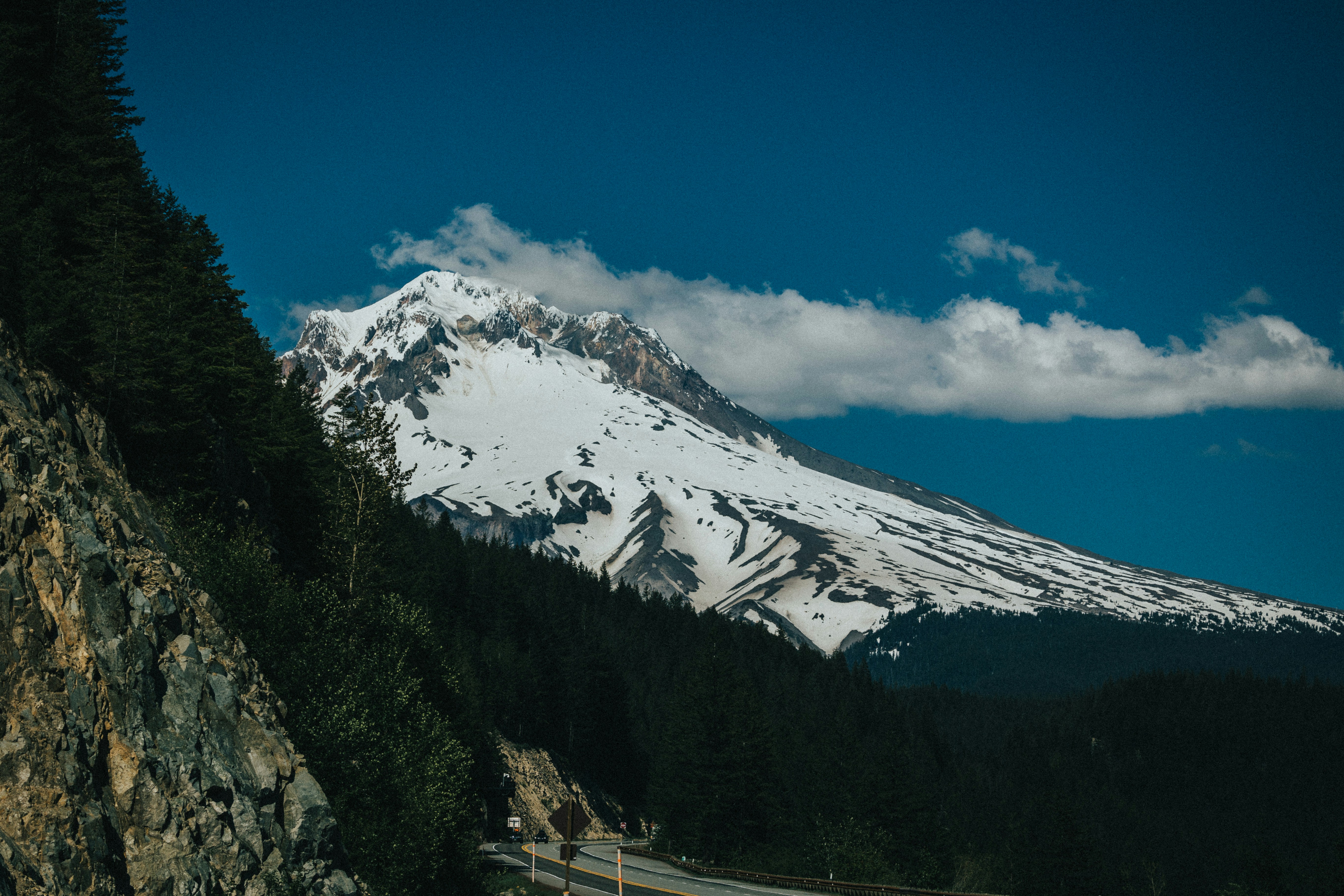 Snow-covered Mt. Hood with a winding road below, framed by lush evergreen trees and a clear blue sky.
