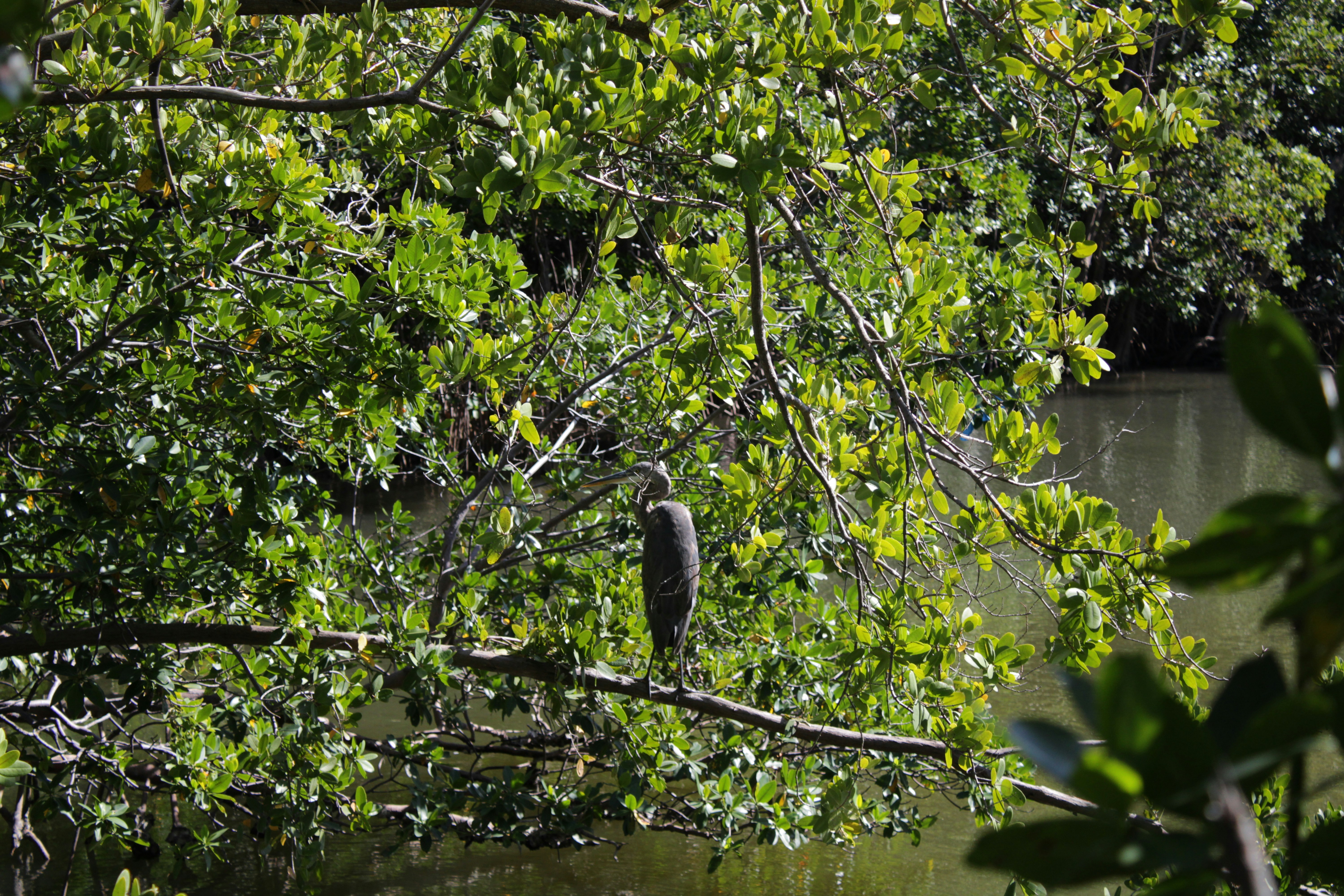 Alice Kowalskii (@a_kowalskii) | Unsplash Photo Community