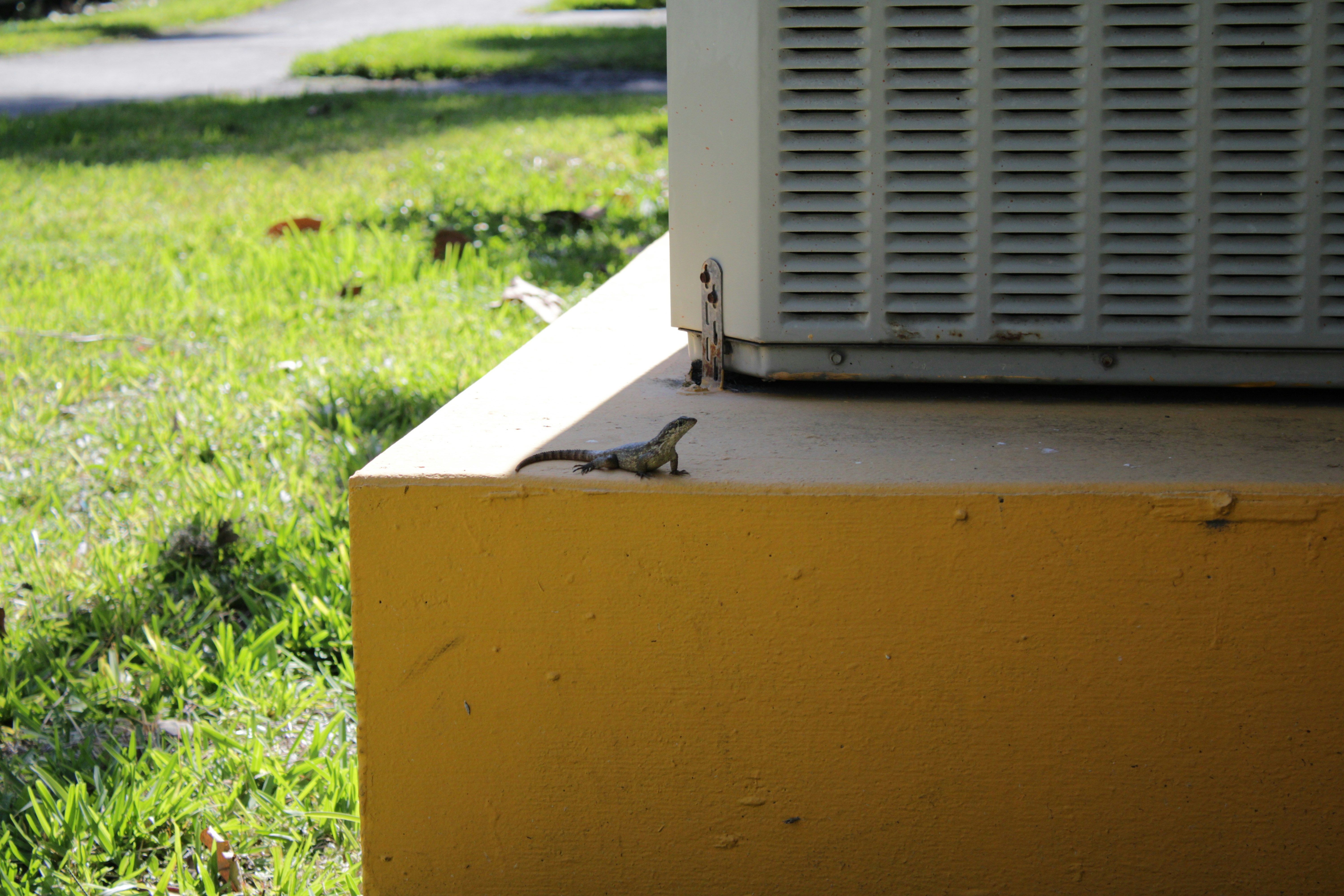 Alice Kowalskii (@a_kowalskii) | Unsplash Photo Community